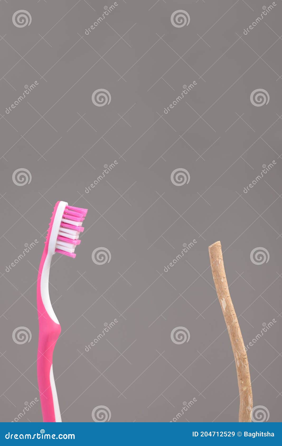 A Toothbrush Versus a Miswak Twig on Grey Background Stock Image ...