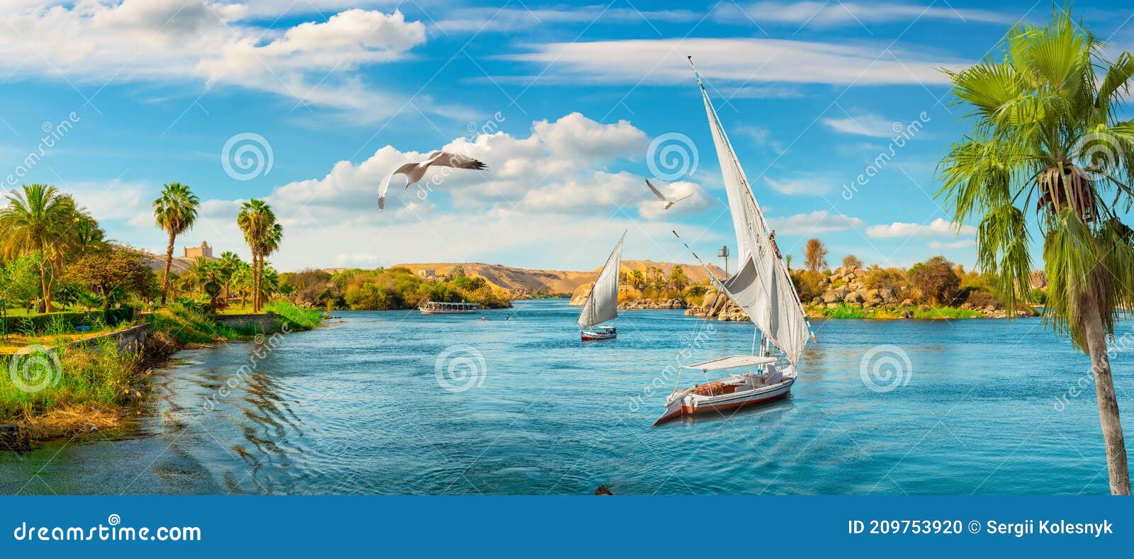 The Nile in Aswan stock photo. Image of tourism, sailing - 209753920