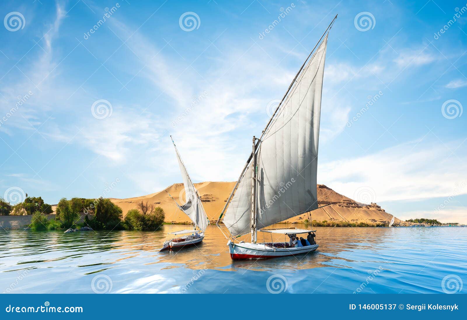 Egyptian Sailor Operating A Traditional Felucca Sail Editorial Image ...