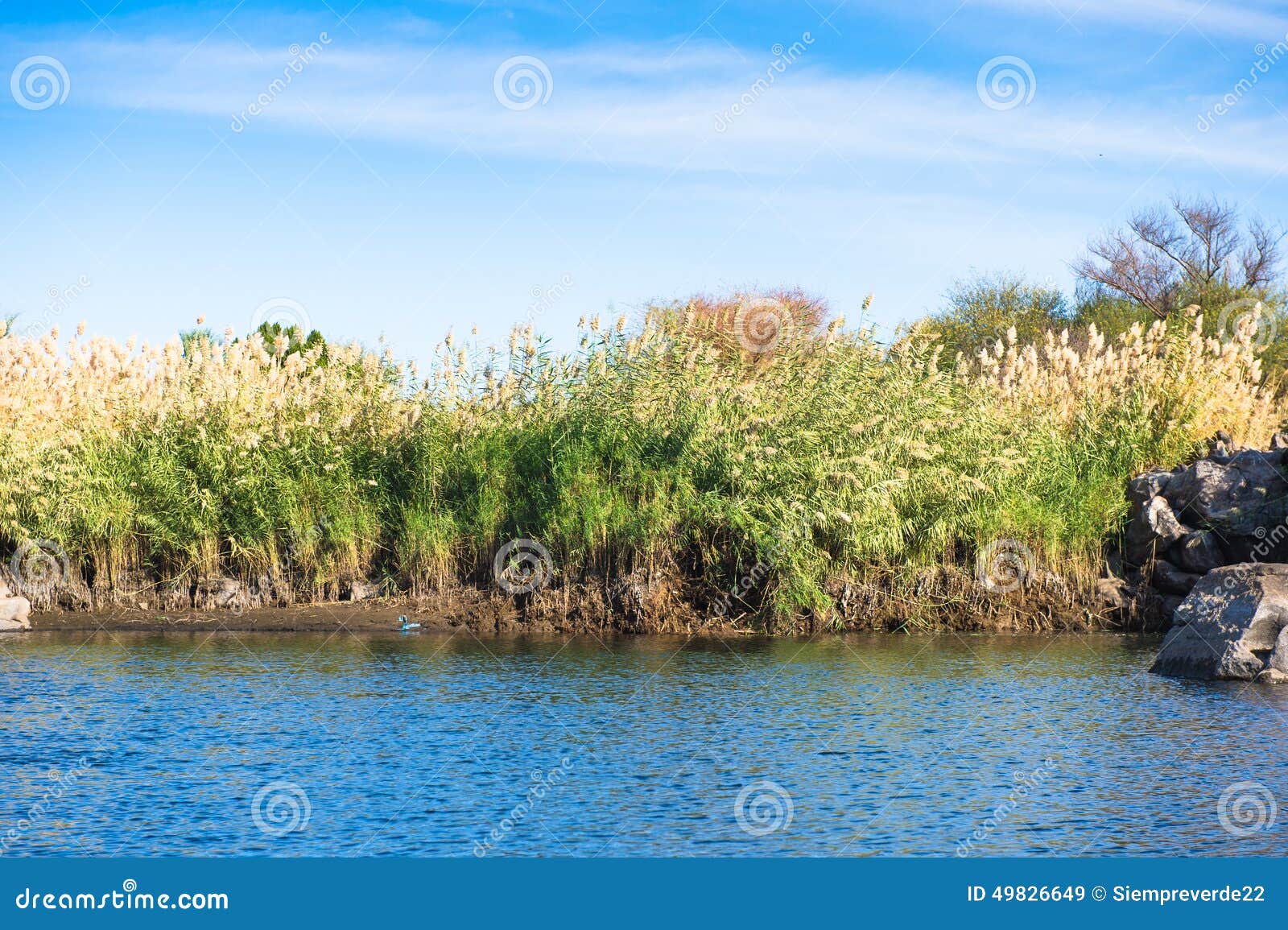Nile. Egypt stock image. Image of nubian, african, holiday - 49826649