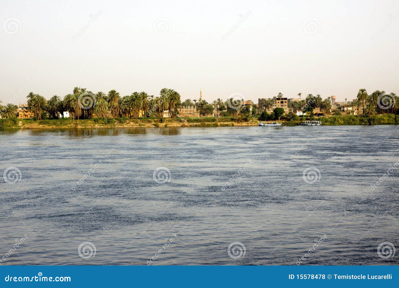 Nile nature stock photo. Image of nile, east, cultivation - 15578478