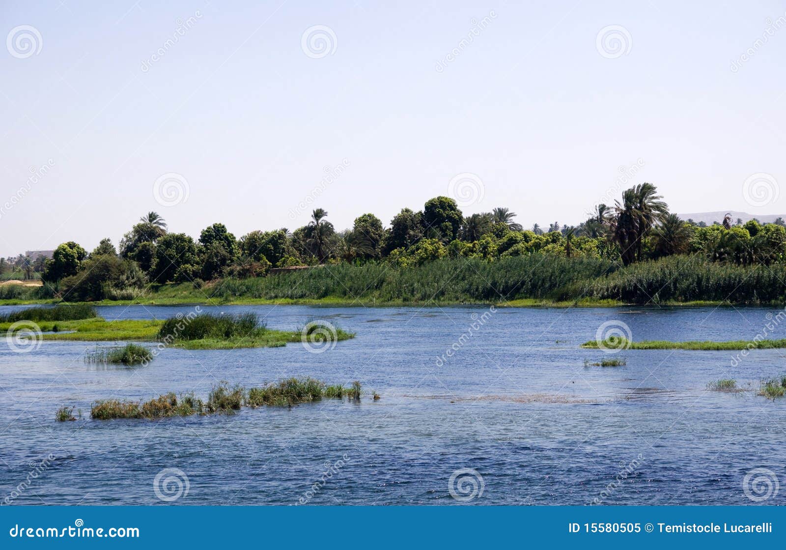 Nile nature stock image. Image of middle, cultivation - 15580505