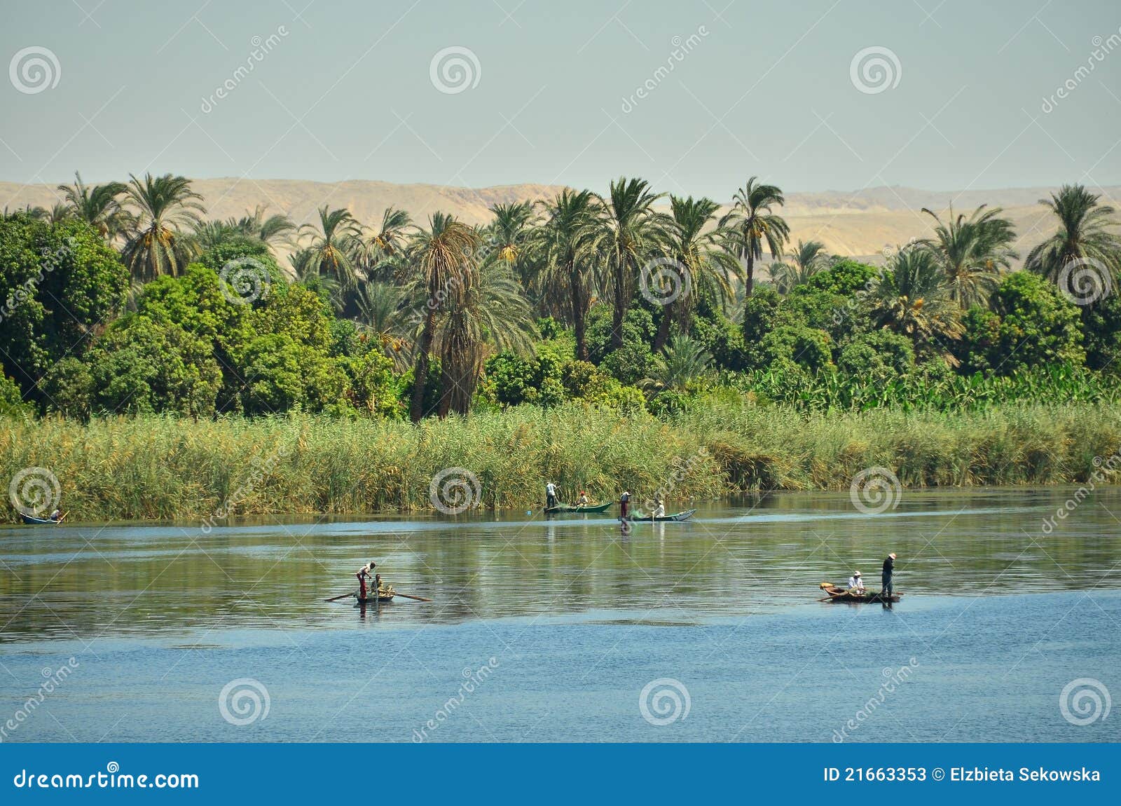 Nile river stock image. Image of riverside, river, desert - 21663353