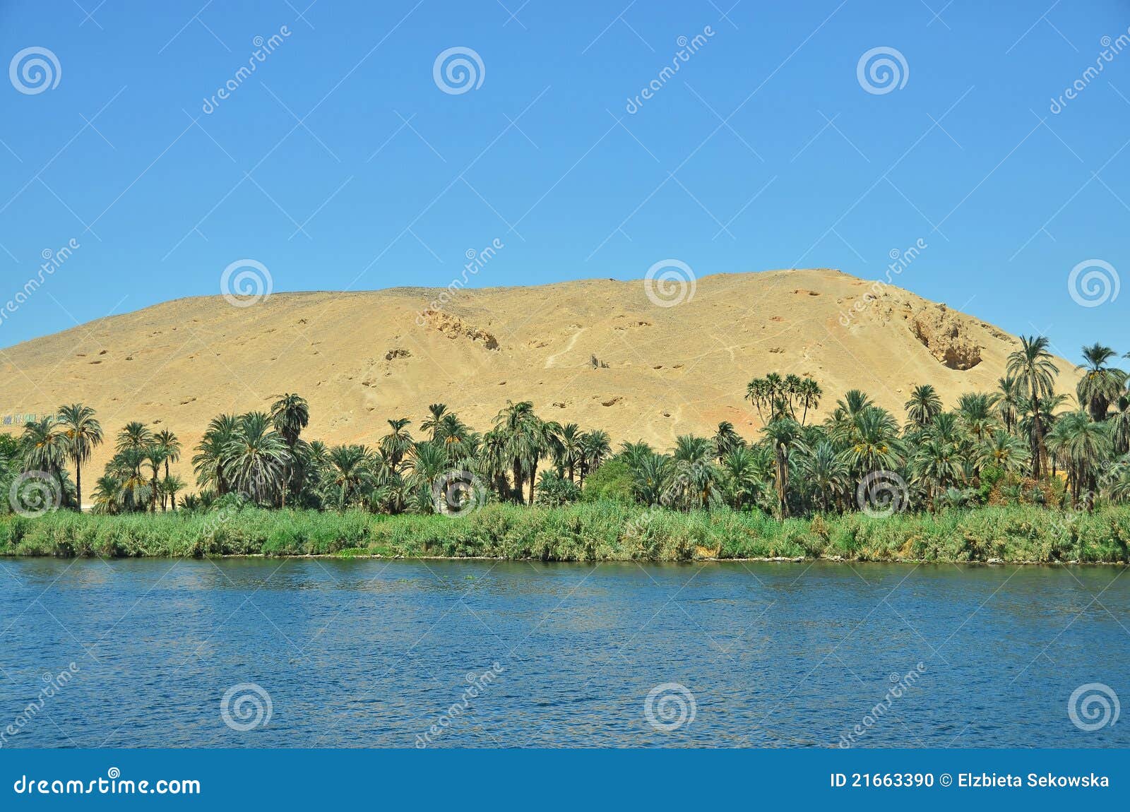 Nile river stock photo. Image of vegetation, nile, desert - 21663390