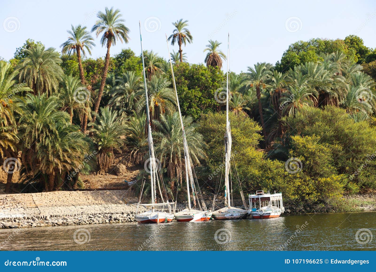 Nile River Aswan, Egypt editorial image. Image of majestic - 107196625