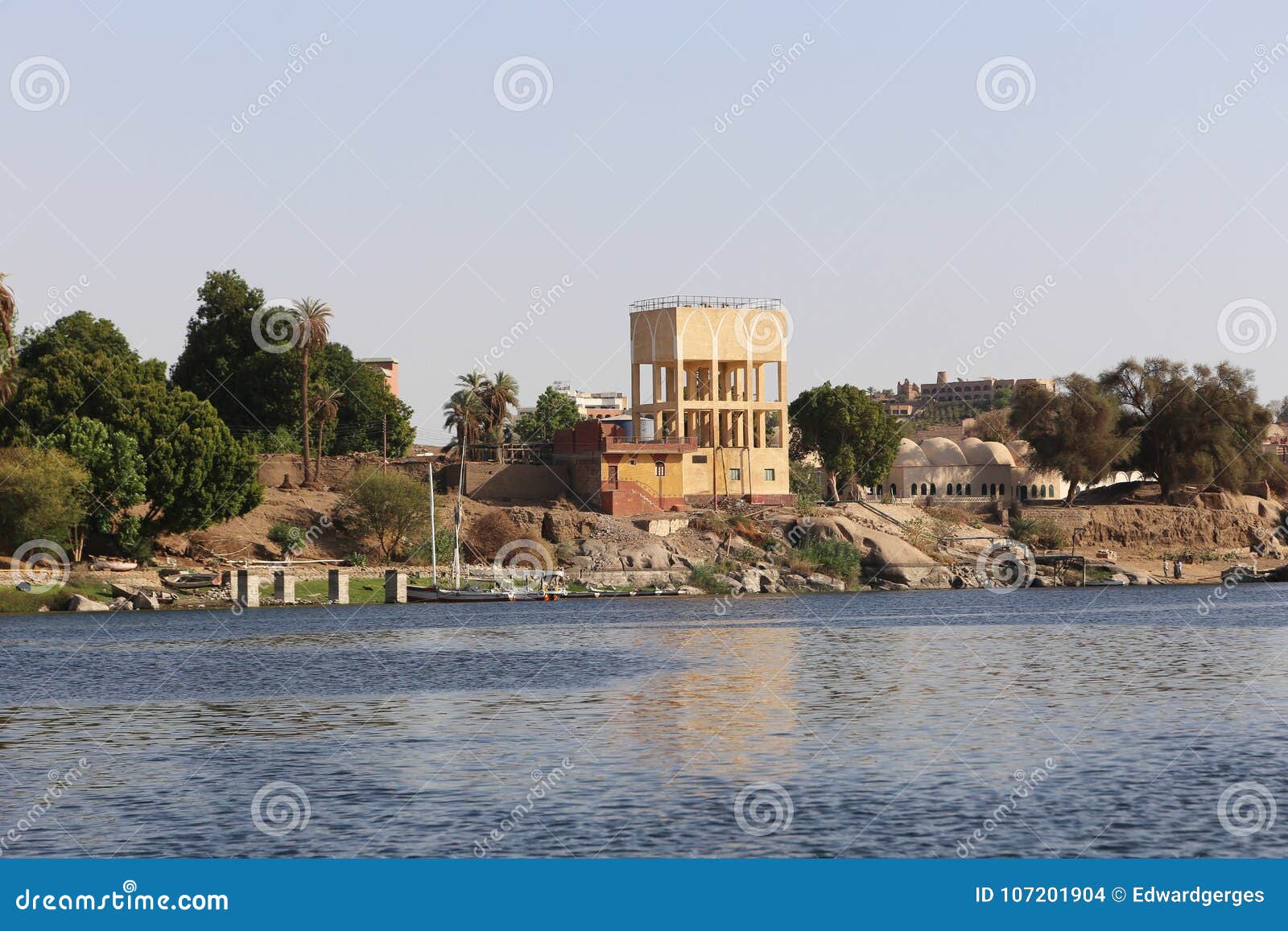 Nile River Aswan, Egypt stock photo. Image of leaf, green - 107201904
