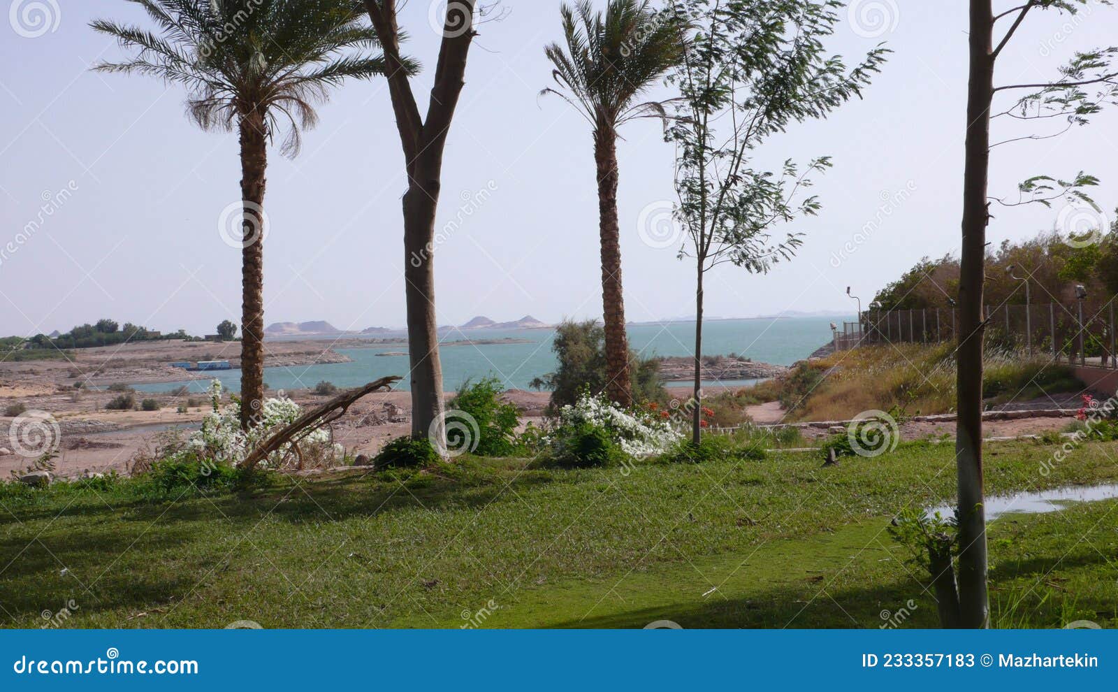 Nile river basin in Egypt stock image. Image of colors - 233357183