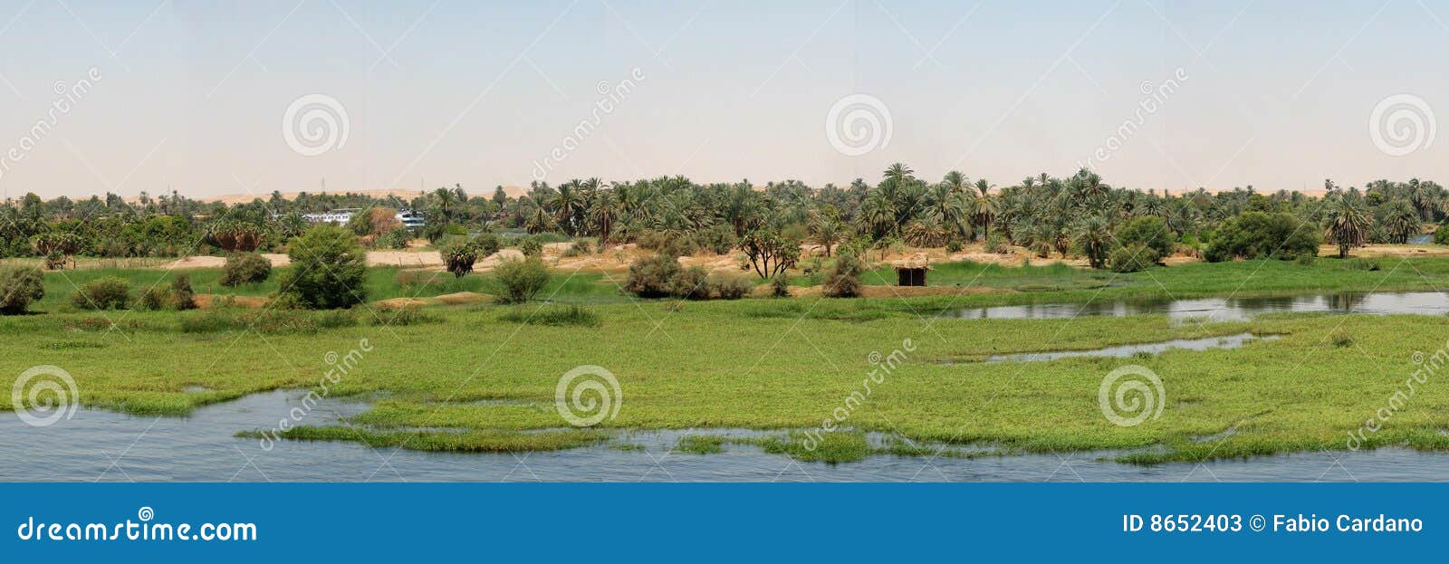 Nile riverside stock image. Image of coconut, riverside - 8652403