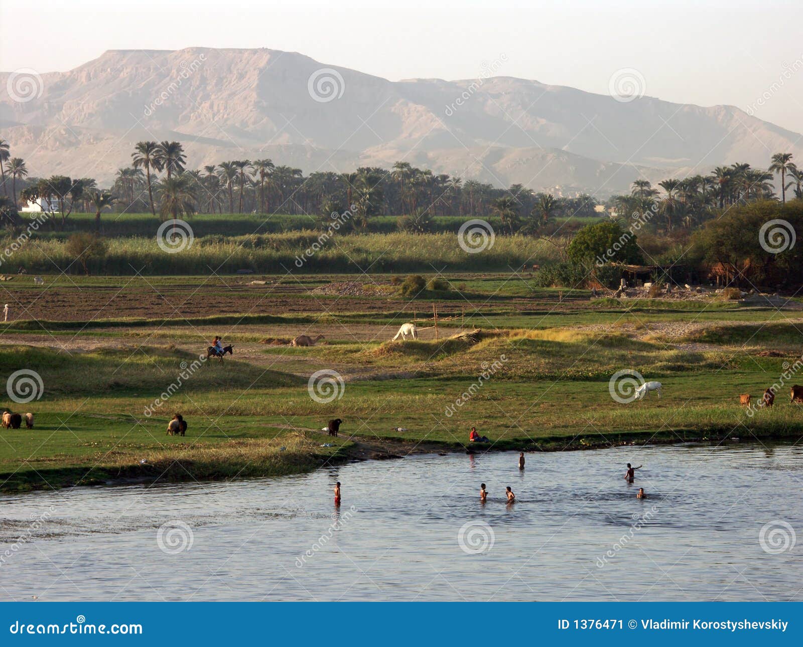 Nile shore stock image. Image of people, egyptian, nile - 1376471