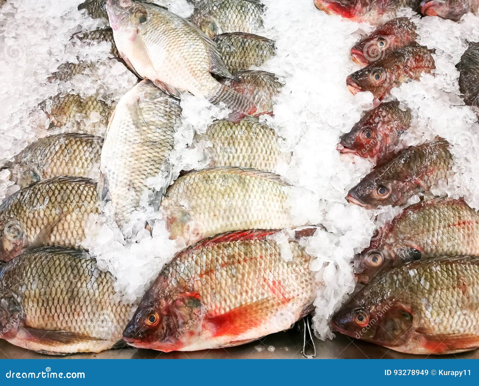 Nile Tilapia Fish Fresh in Ice Sell Stock Image - Image of nilotica ...