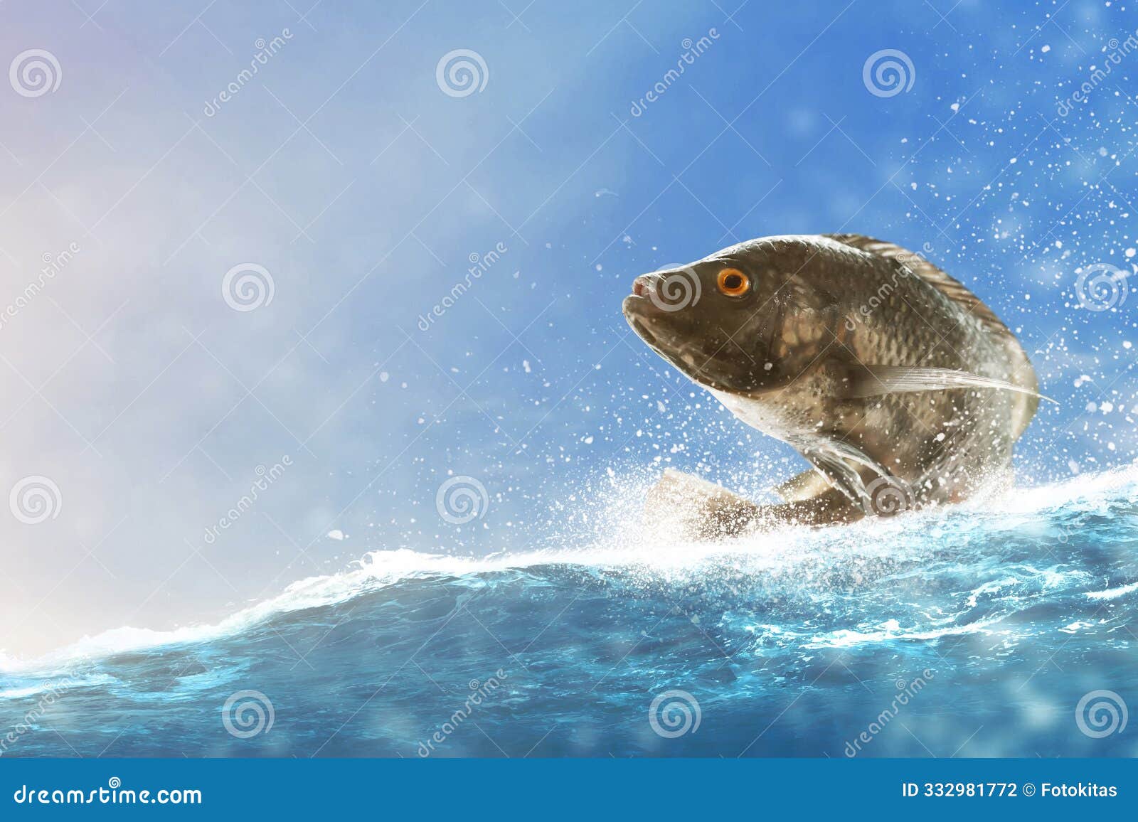 Nile Tilapia Fish Jump Out of Water Stock Photo - Image of ocean, light ...
