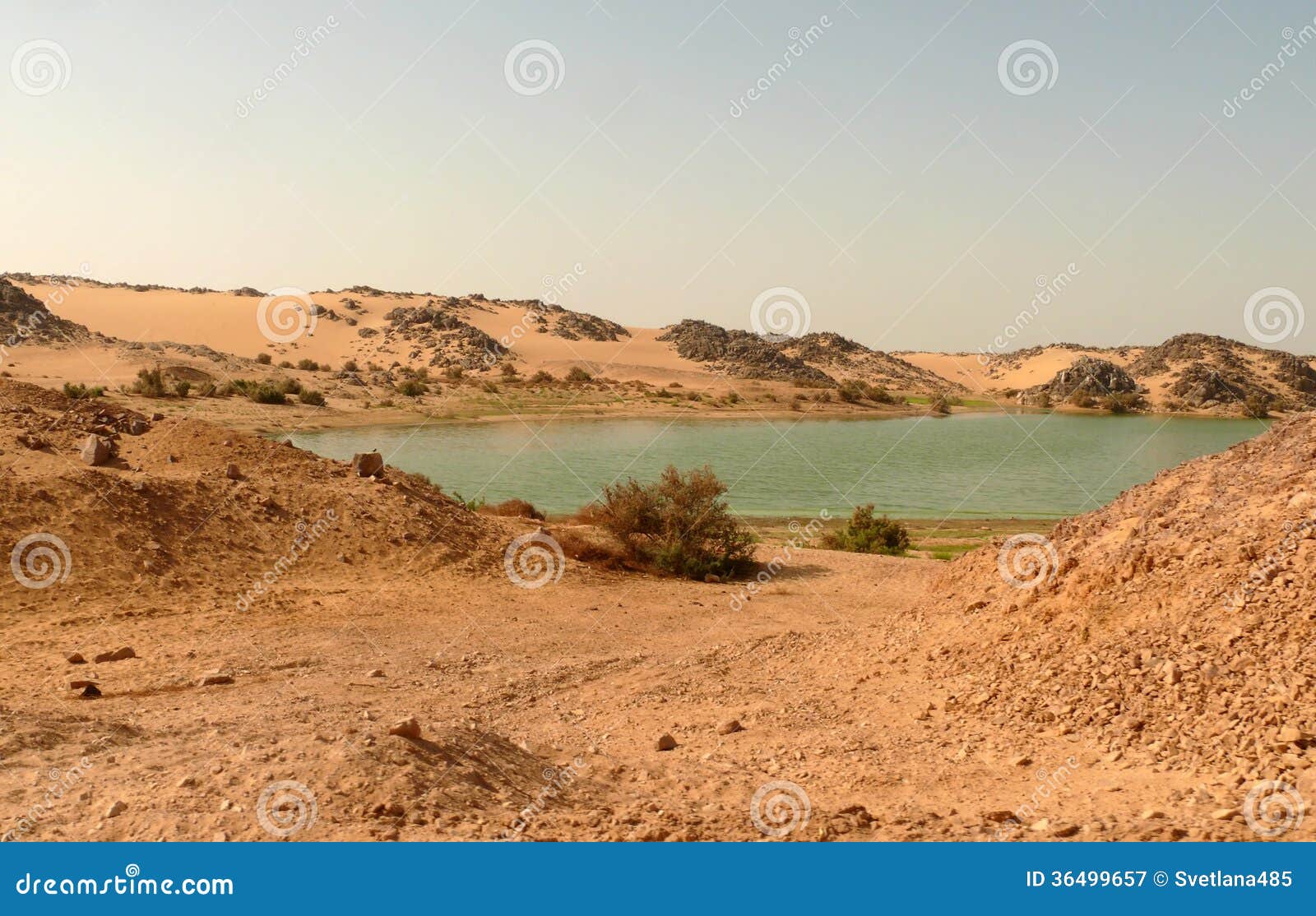 Nilo Che Attraversa Il Deserto Del Sahara. Immagine Stock - Immagine di ...