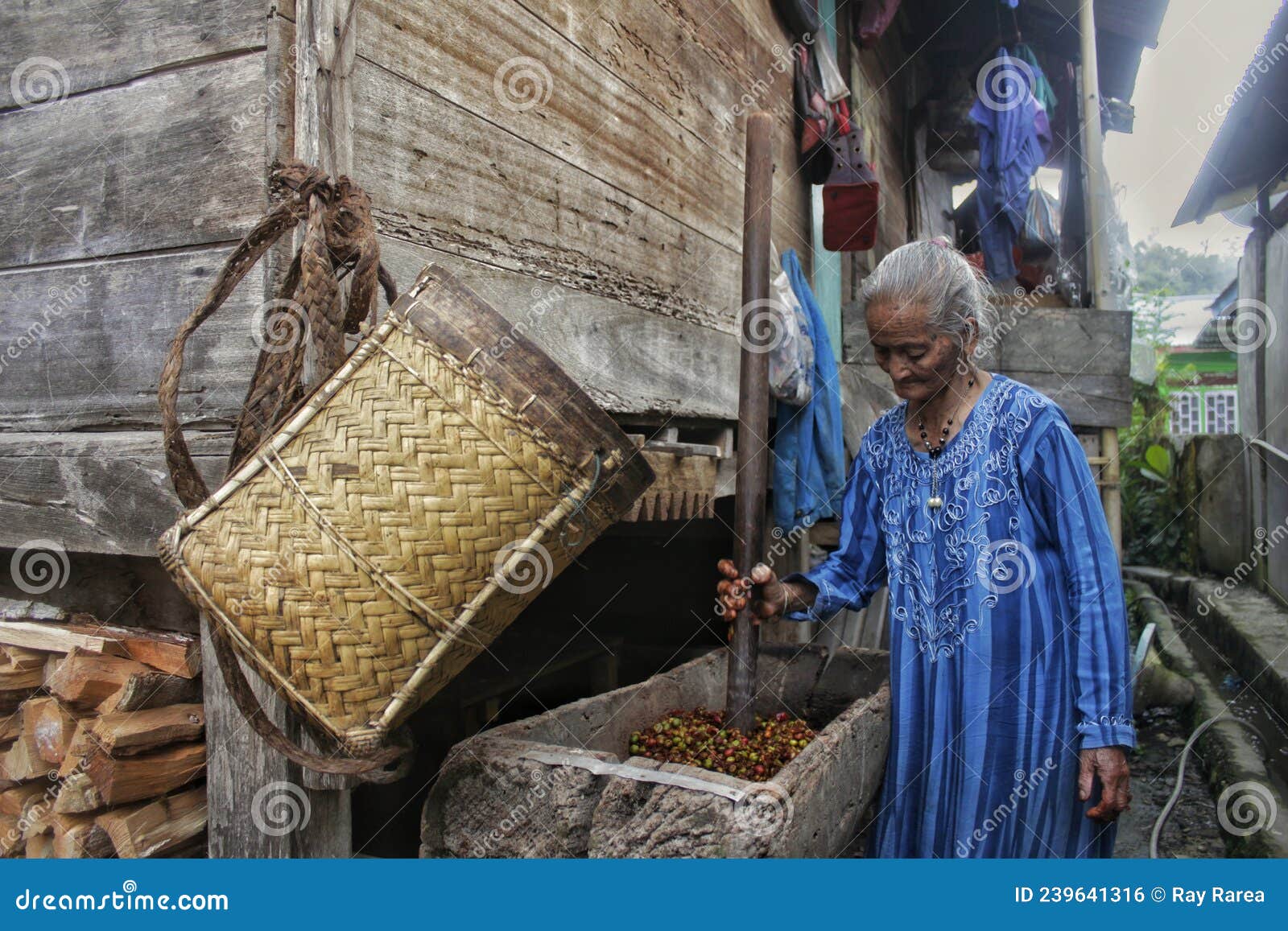 Lindu Plain Stock Photos - Free & Royalty-Free Stock Photos from Dreamstime