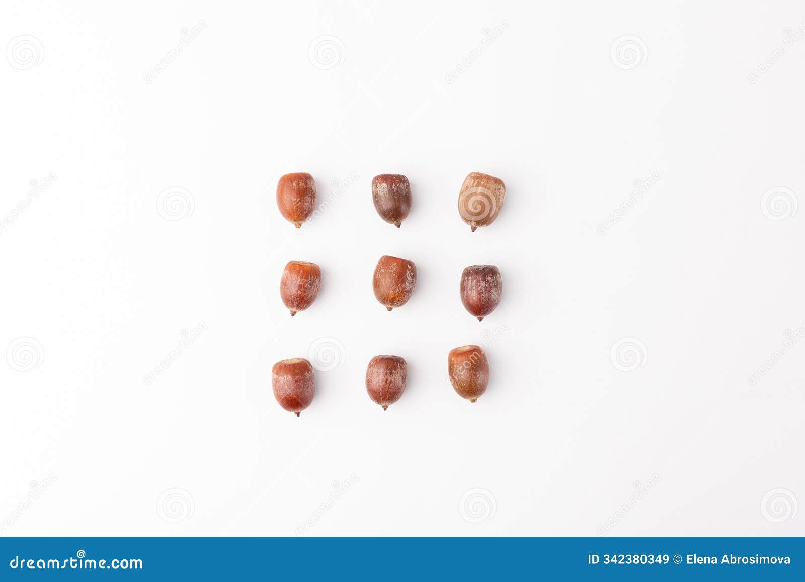 Nine Acorns without Caps are Arranged in a 3x3 Grid on a White ...