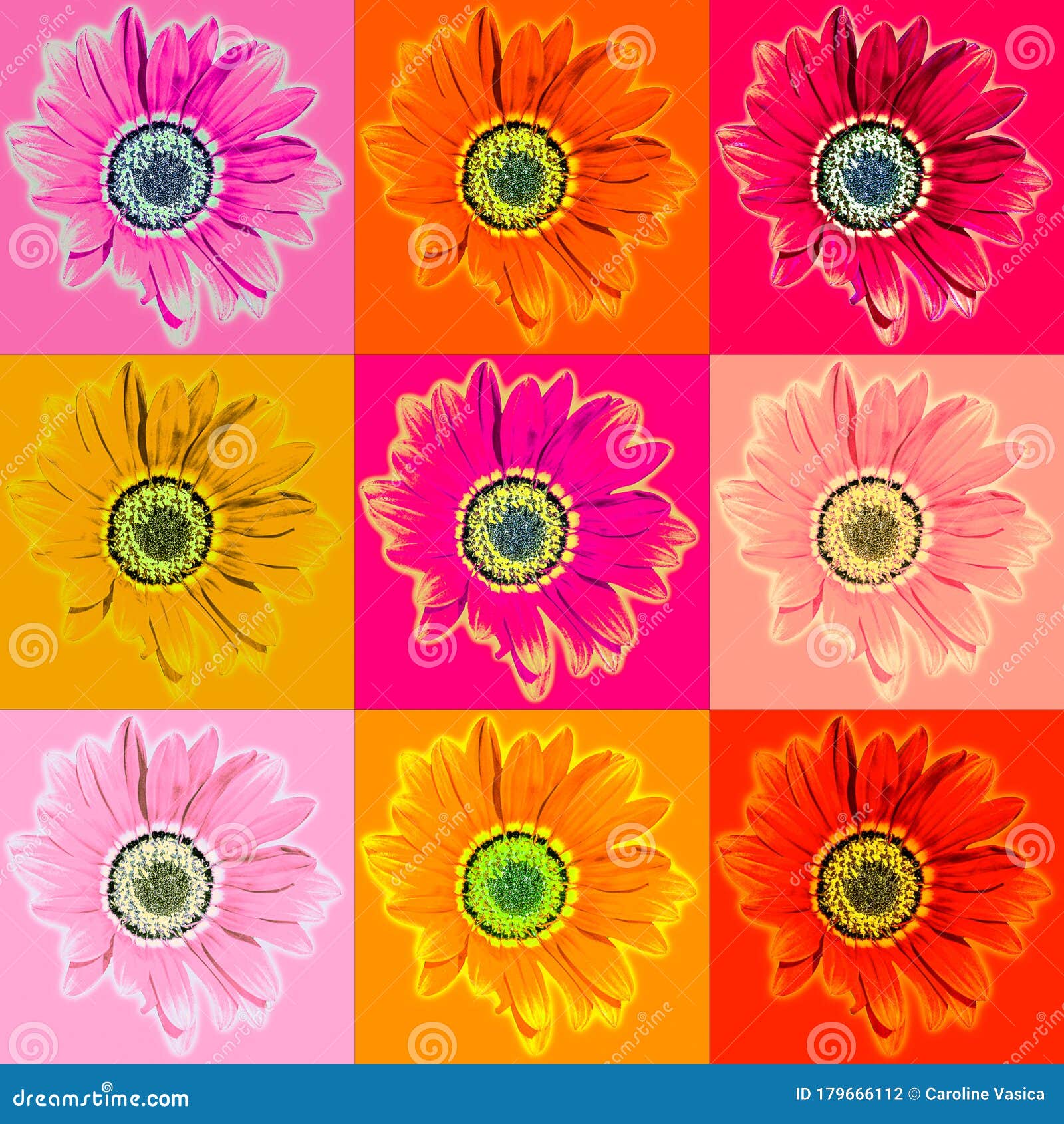 Nine Flowers Vector Illustration | CartoonDealer.com #14200768