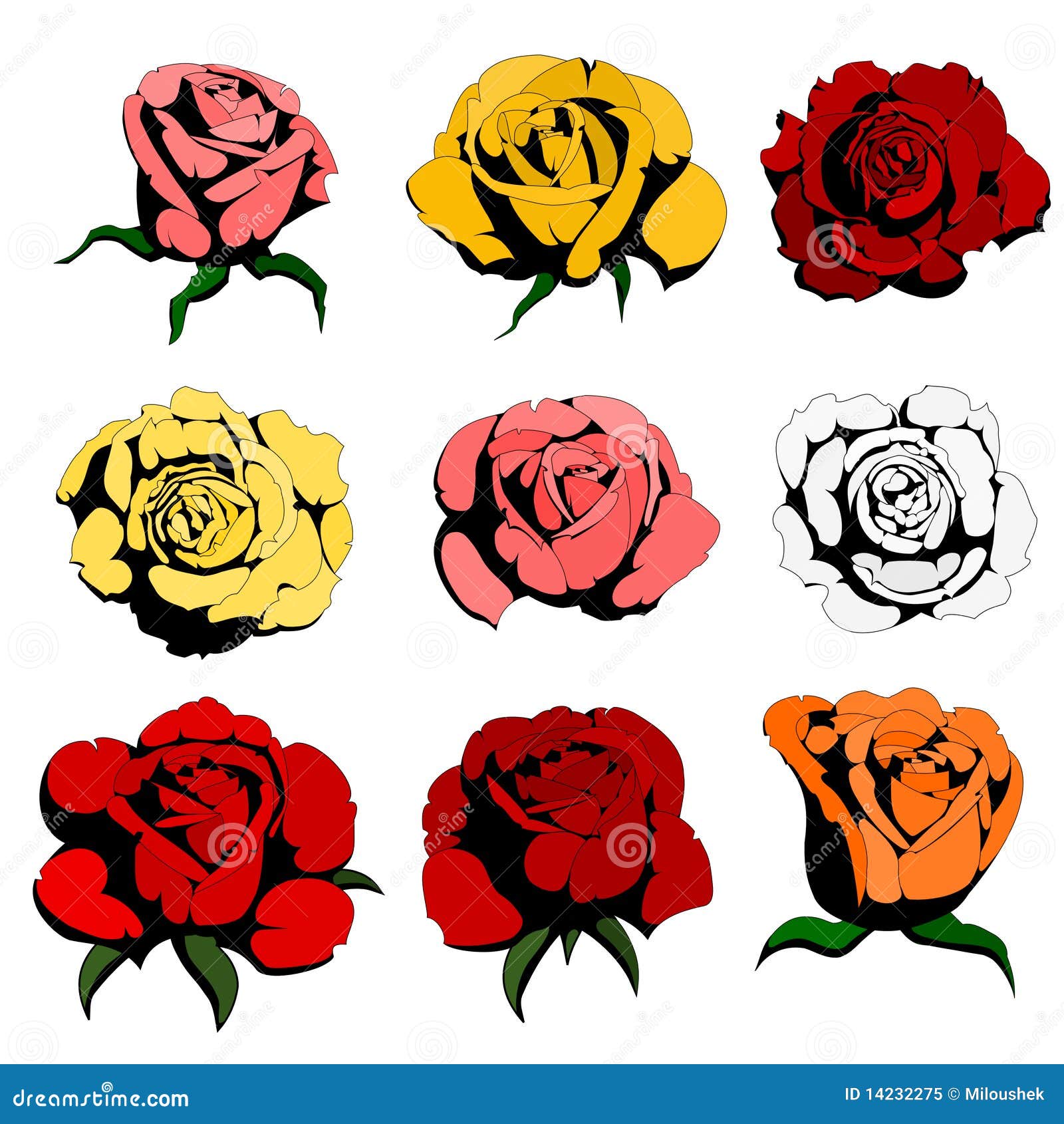 Nine color roses stock illustration. Illustration of isolated - 14232275