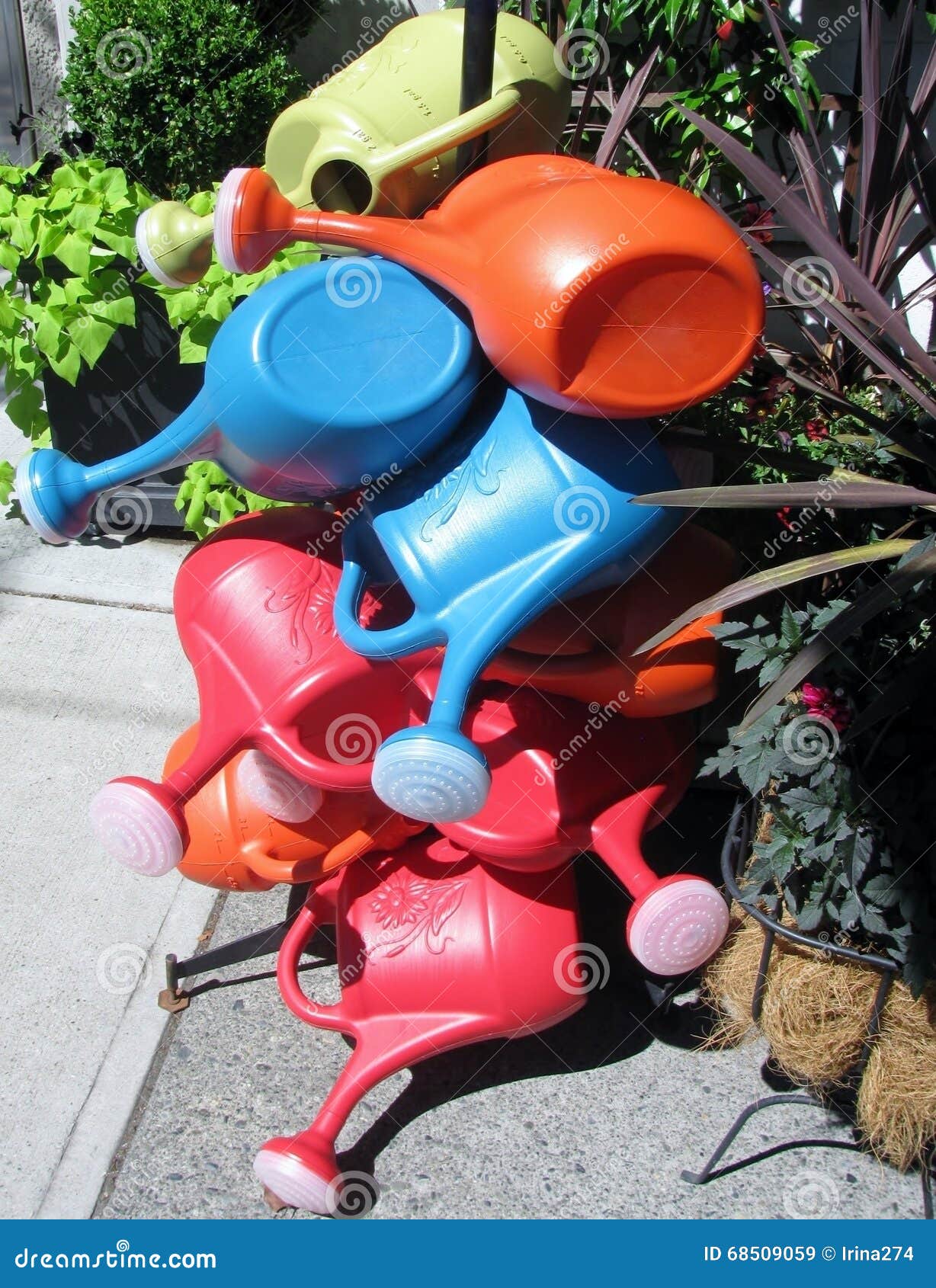 Nine Colored Plastic Watering Cans Stock Image - Image of plants ...