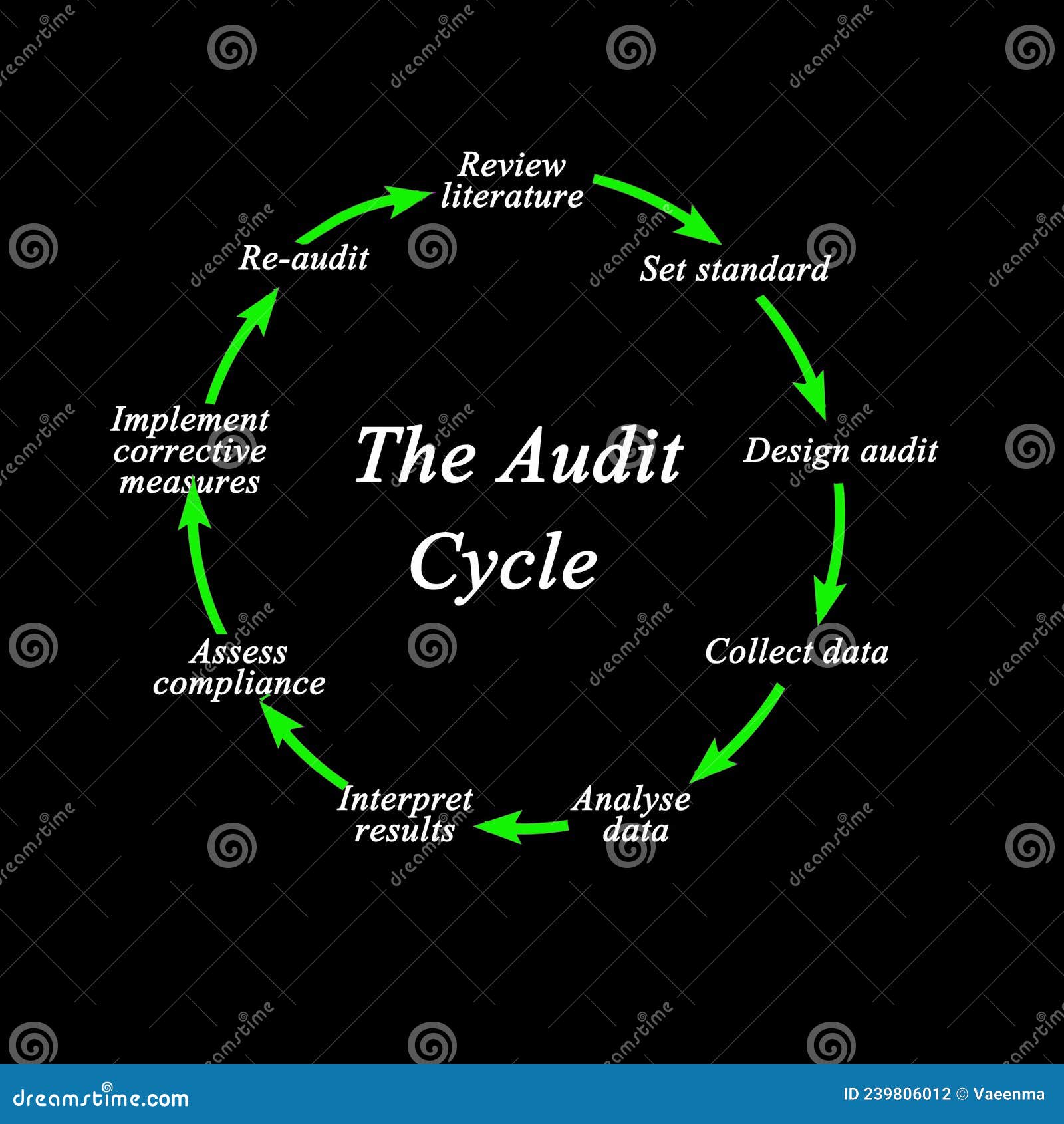 Components of Audit Cycle stock illustration. Illustration of 1936 ...