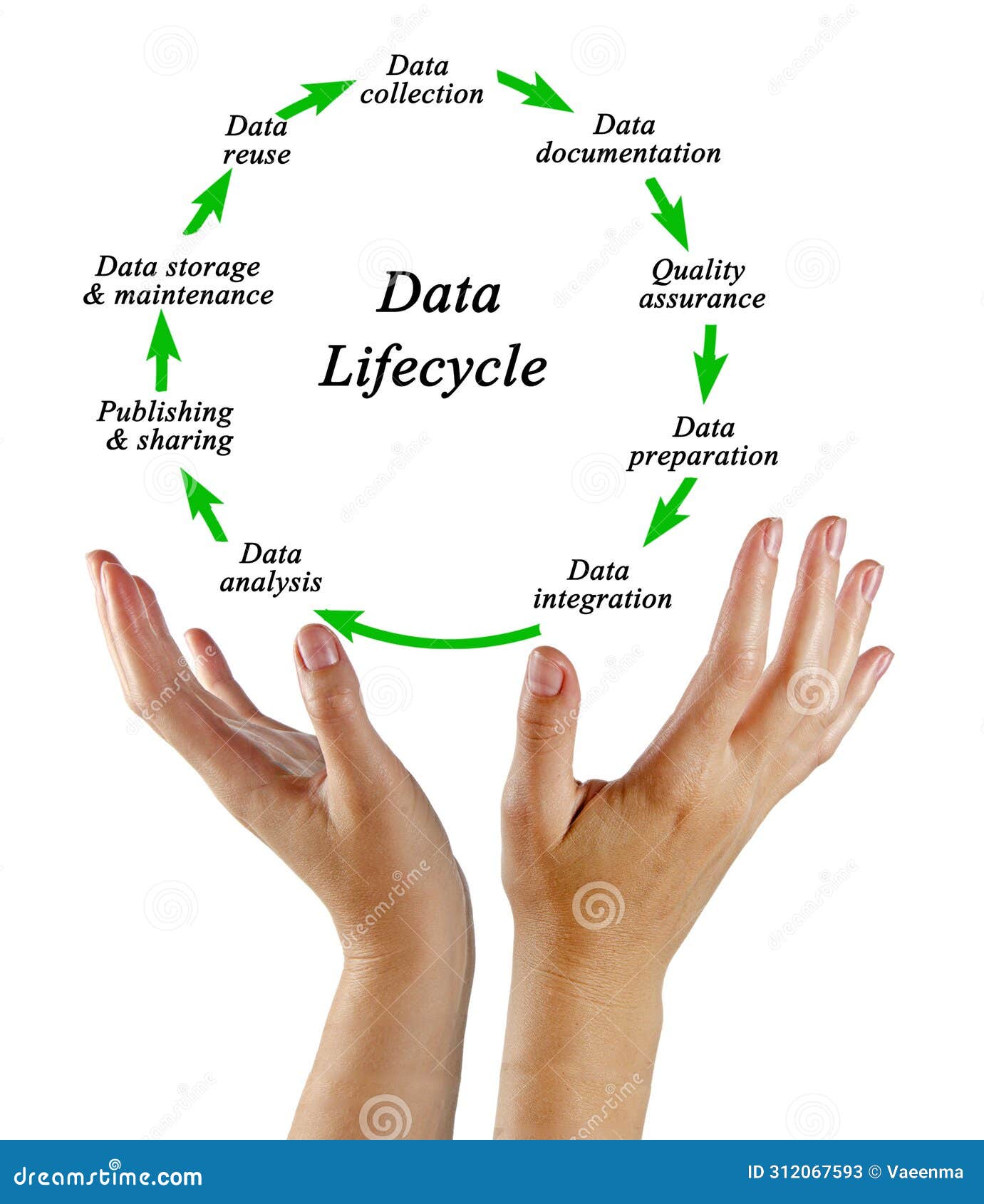 Components of Data Lifecycle Stock Image - Image of process, data ...