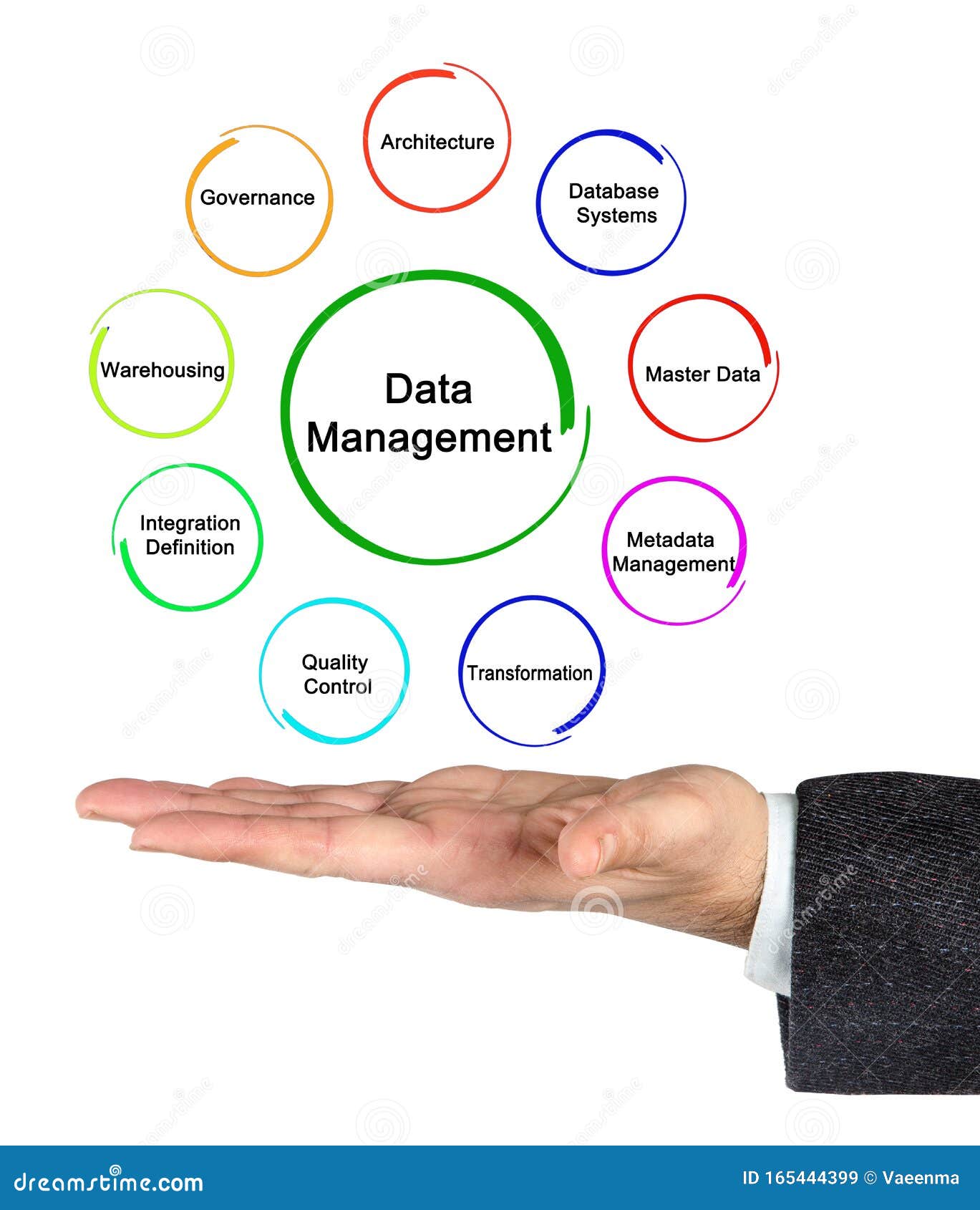Components of Data Management Stock Image - Image of definition ...