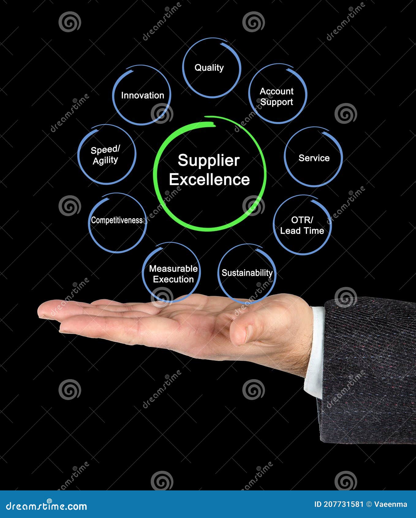 Components of Supplier Excellence Stock Image - Image of consulting ...
