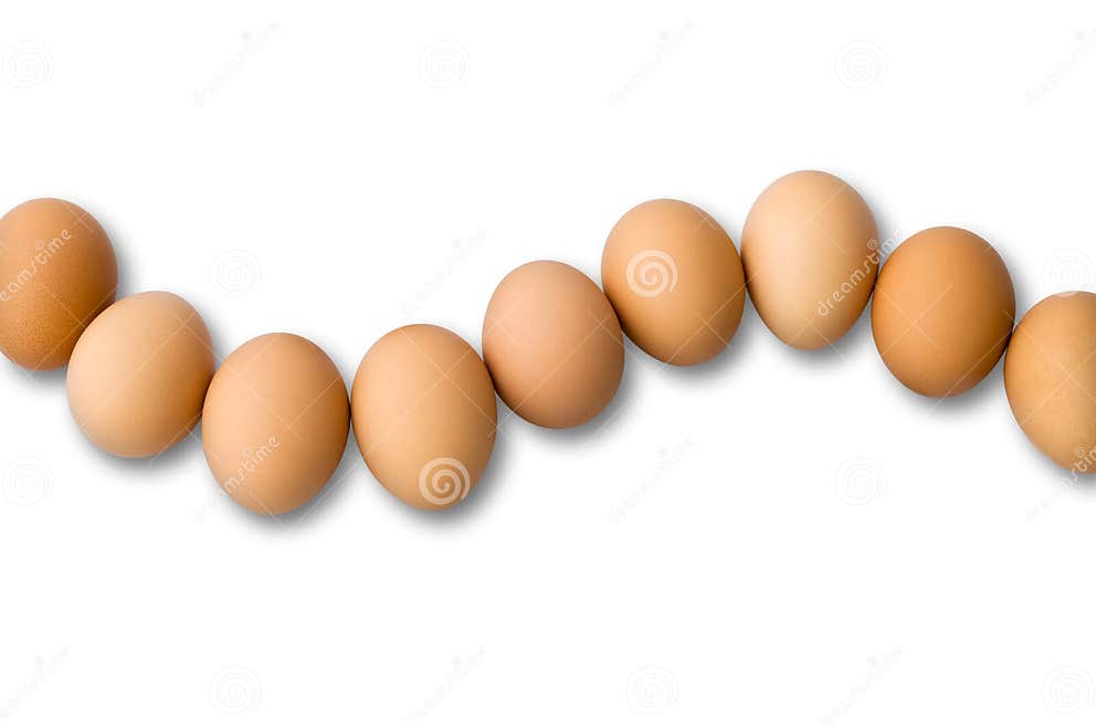 Nine Egg Arranged in Curve stock photo. Image of food - 30829864