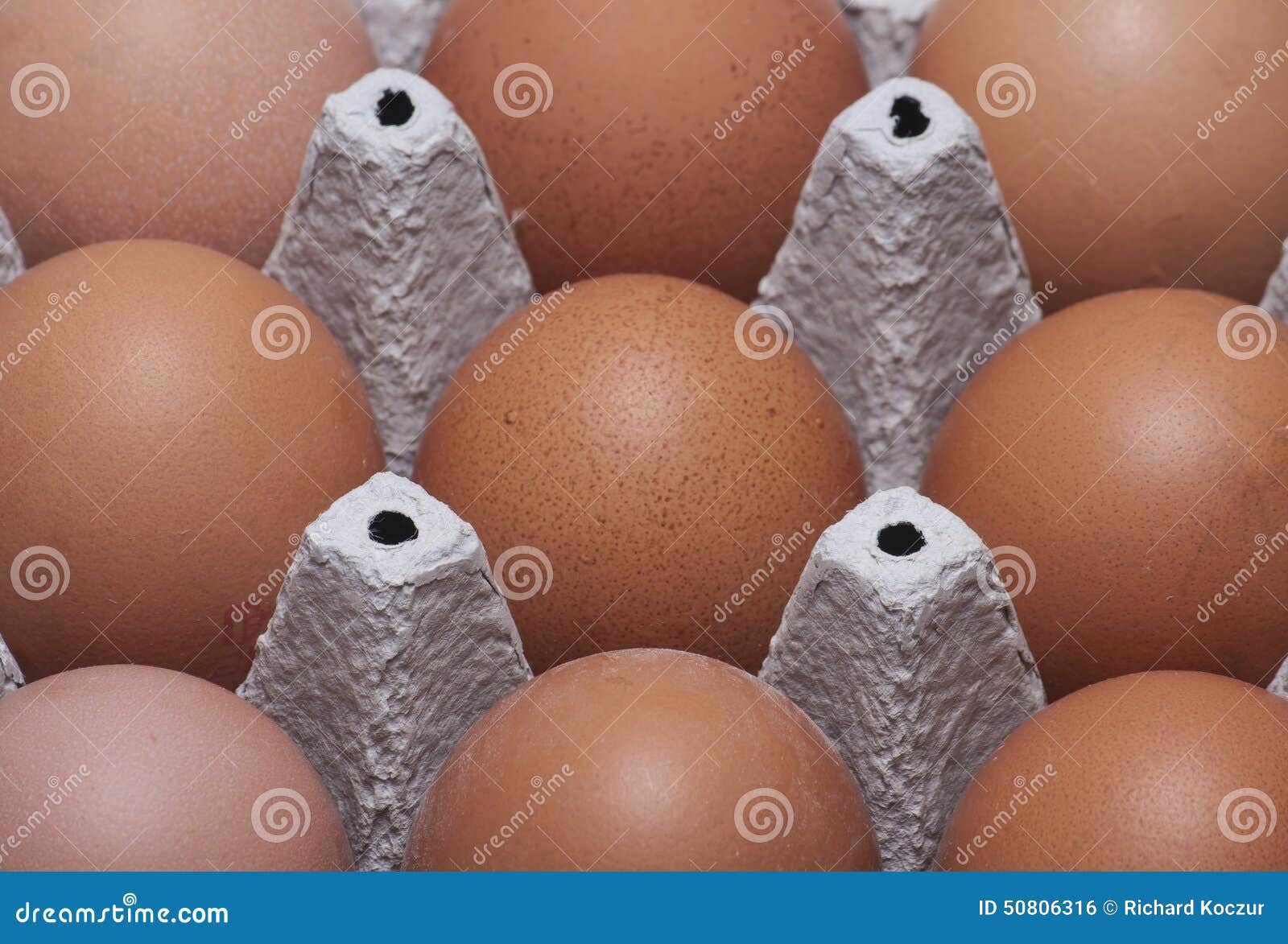Nine eggs close-up stock photo. Image of shiny, delicious - 50806316