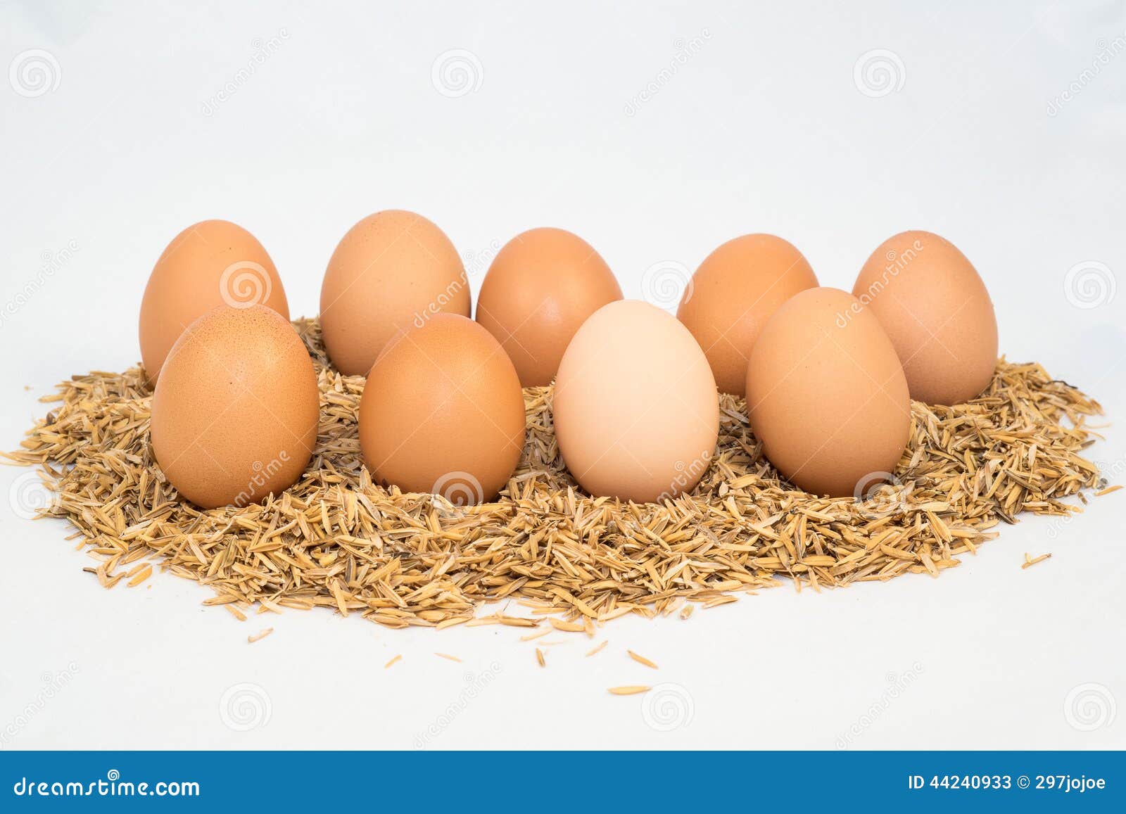 Nine eggs with husk stock image. Image of animal, ingredient - 44240933