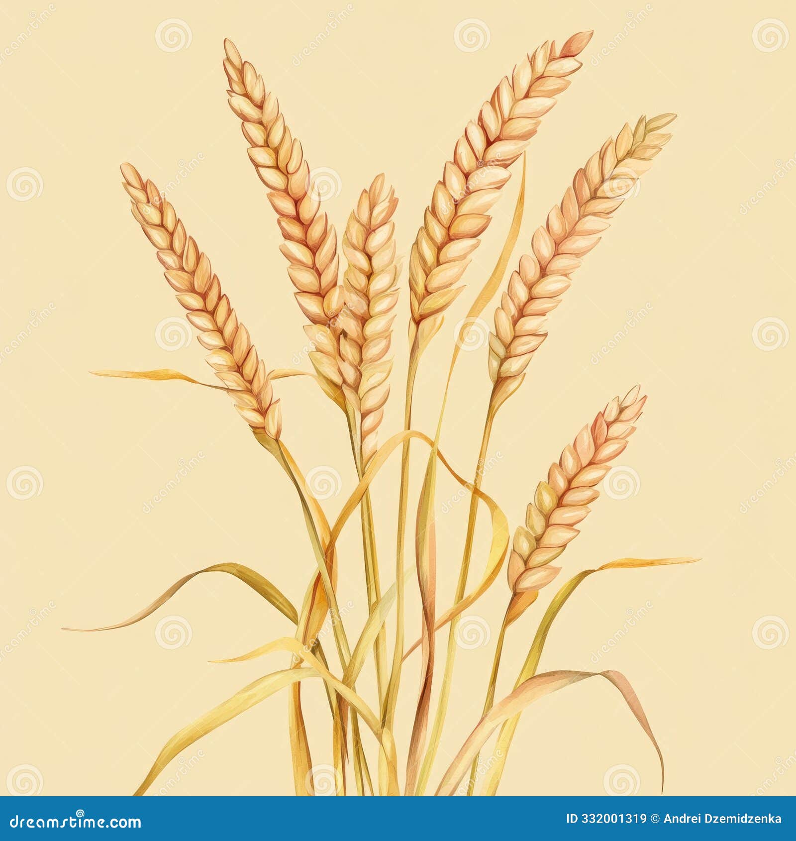 Nine Illustrations Show Different Types of Wheat Plants in this ...