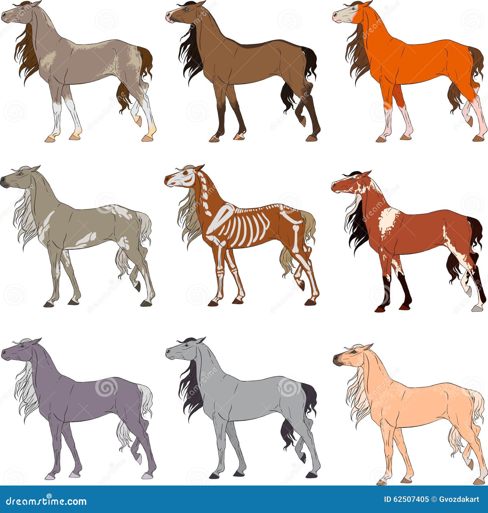 Nine multicolored horses stock vector. Illustration of skeleton - 62507405