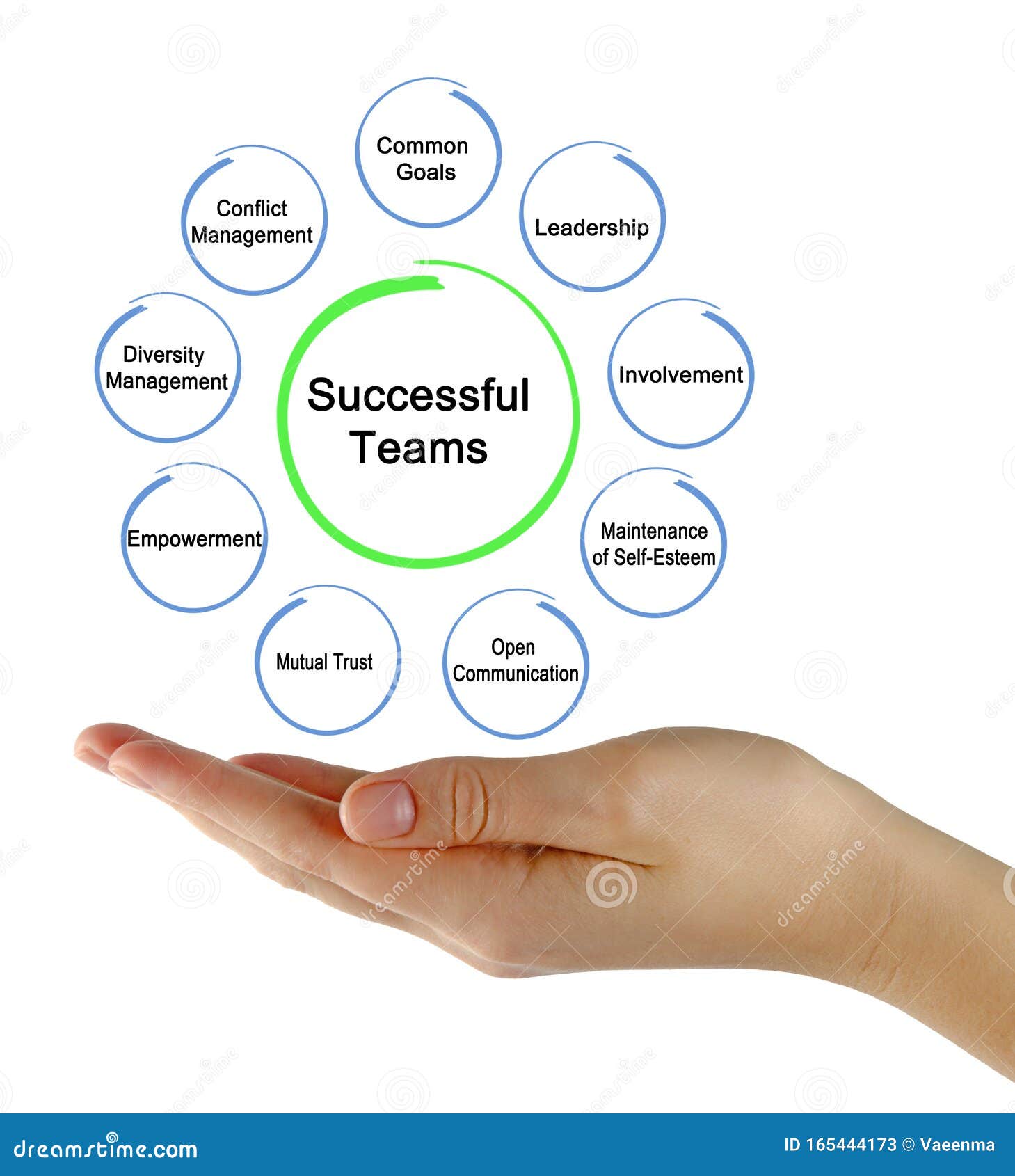 Prerequisites for Successful Teams Stock Image - Image of diagram ...