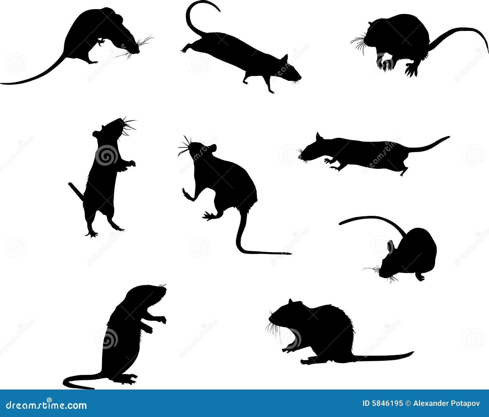 Nine Rat Silhouettes Royalty Free Stock Photo - Image: 5846195