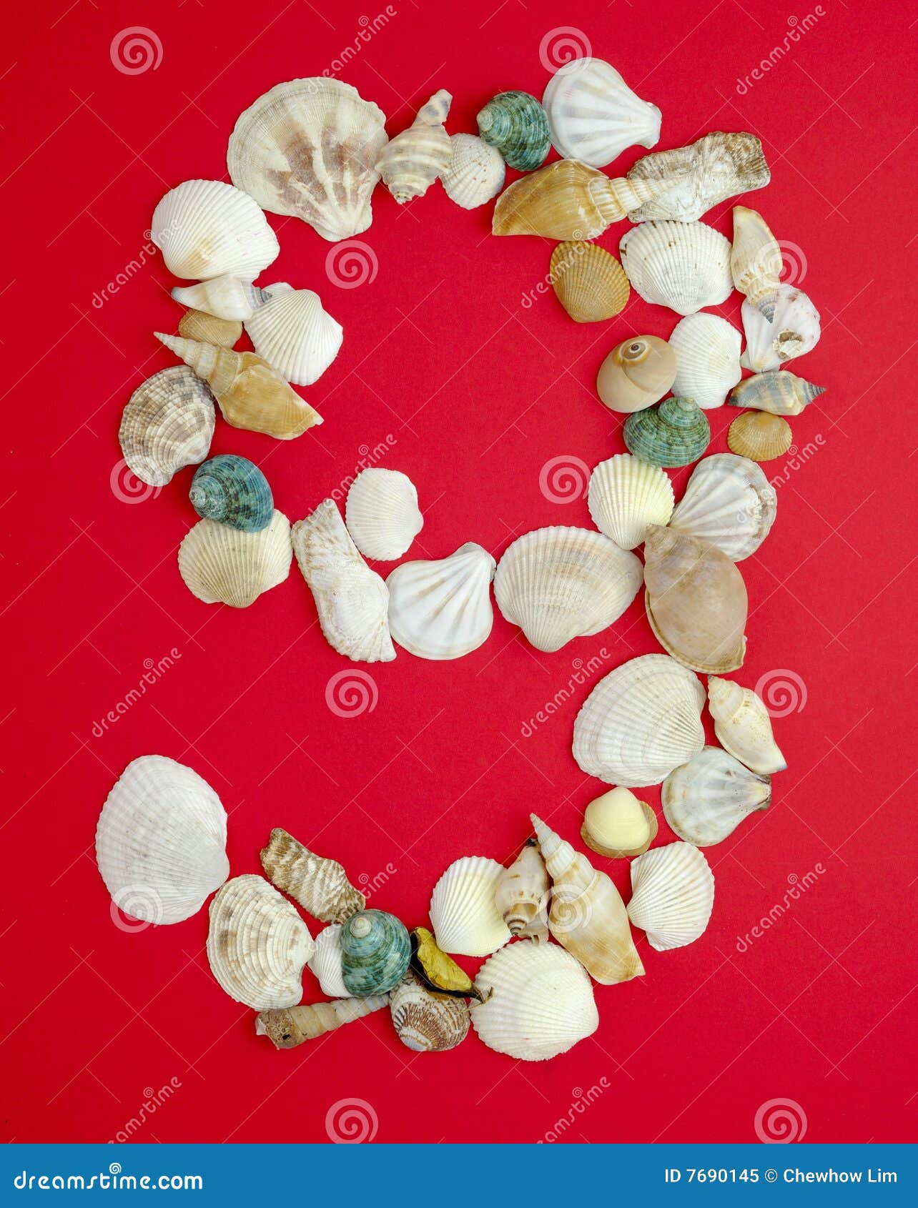 Nine with sea shells stock image. Image of abstract, nine - 7690145