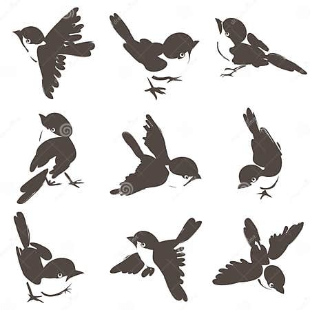 Nine sparrow poses stock illustration. Illustration of play - 23728970