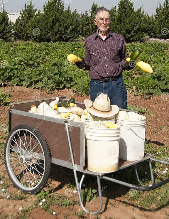 Ninety-One Year Old Farmer and Squash Stock Image - Image of long ...
