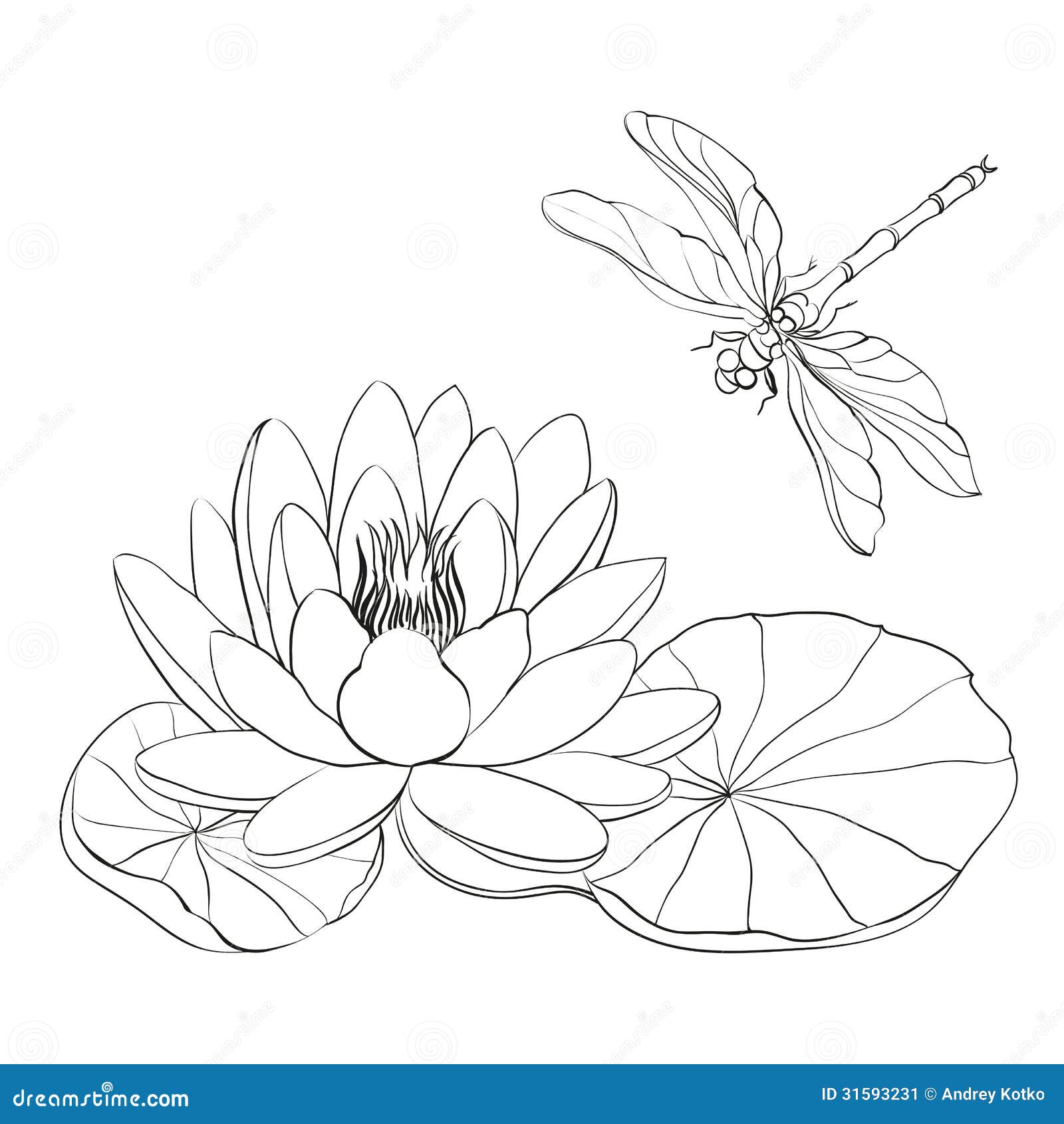 Ninfea e libellula. illustrazione vettoriale. Illustrazione di ...