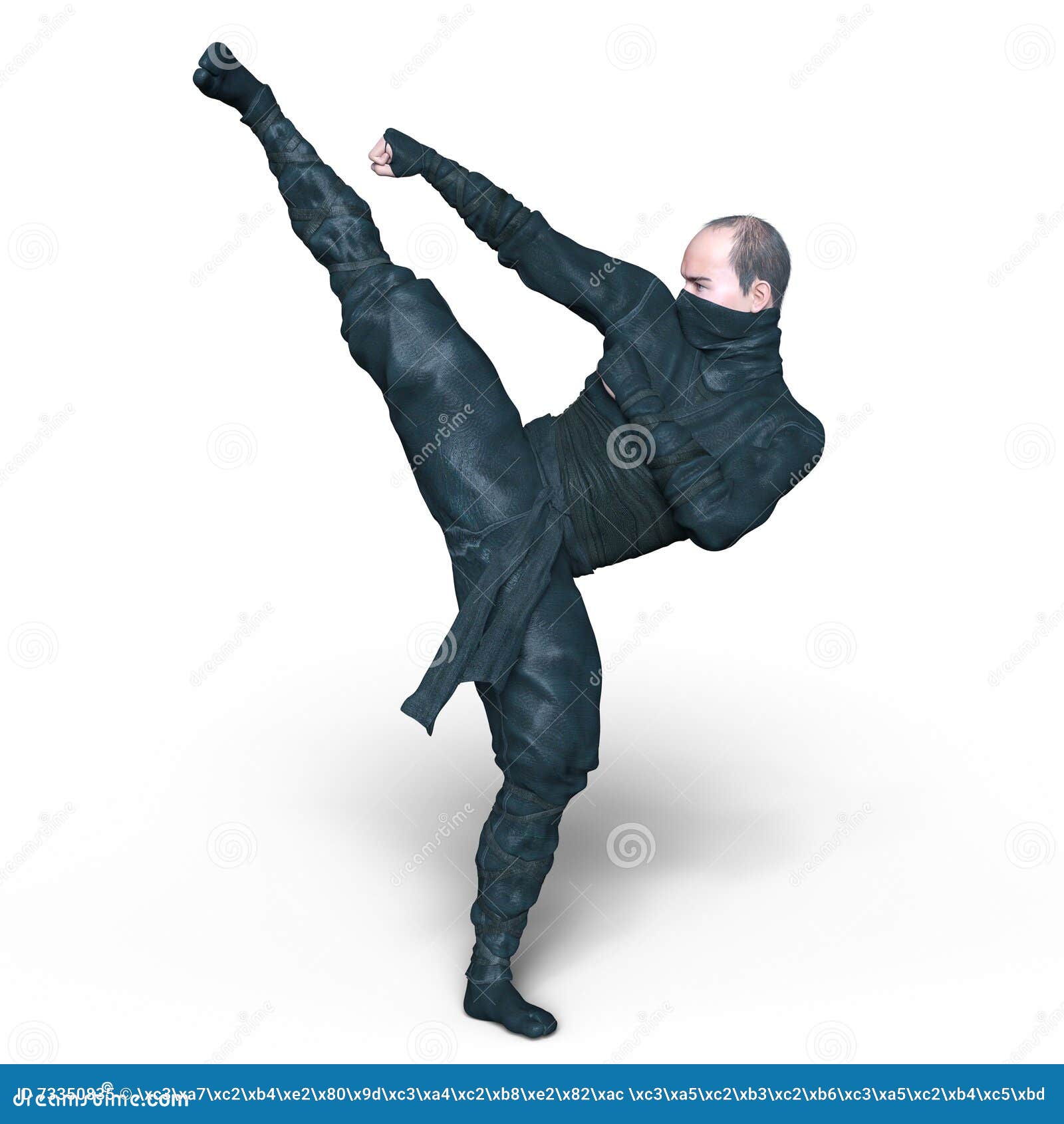 Ninja Kick Pose