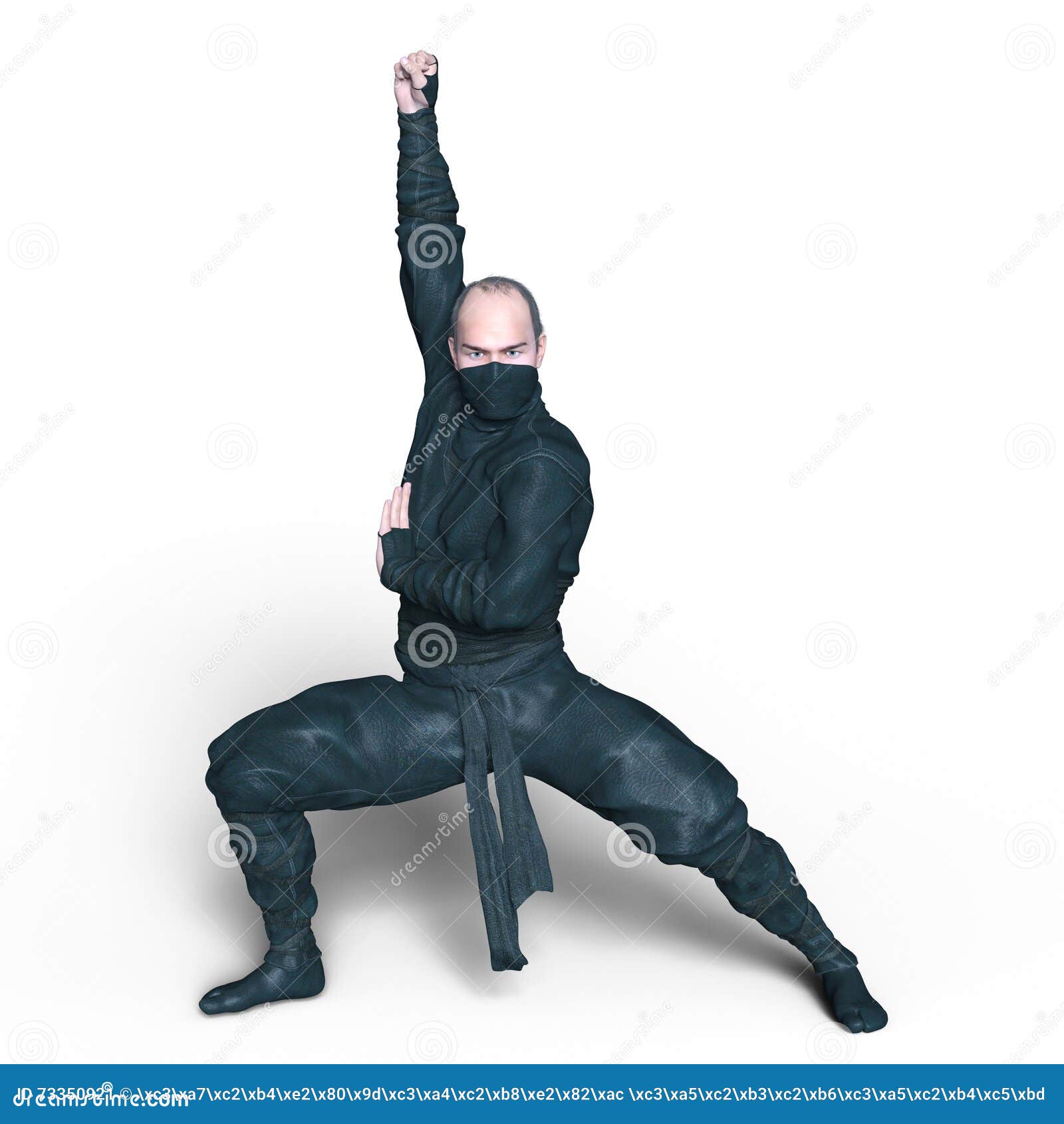 Ninja stock image. Image of action, ninja, pose, white - 73350921