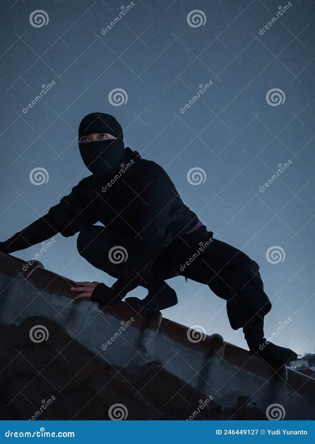 Ninja Sneaking Stock Photos - Free & Royalty-Free Stock Photos from ...