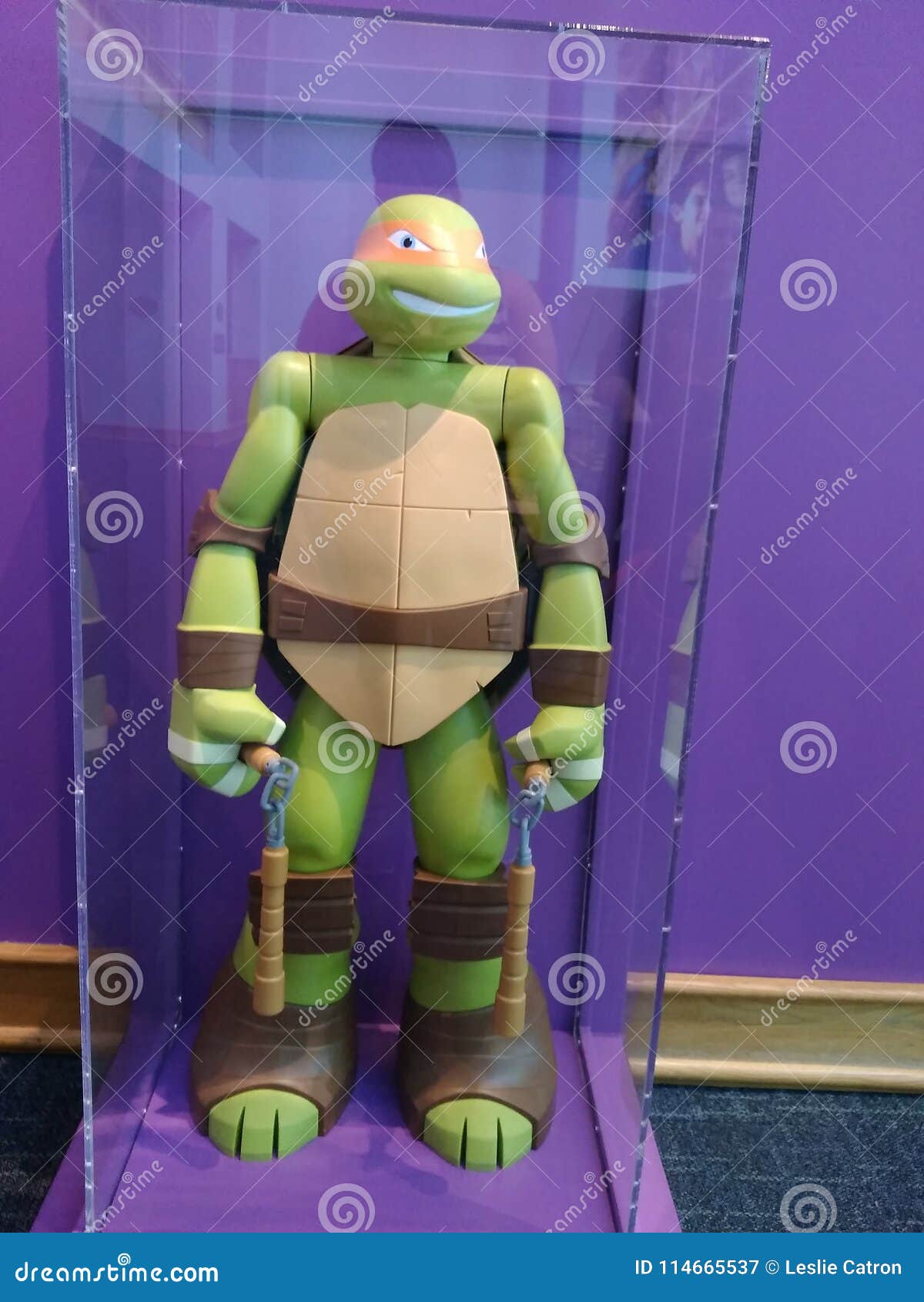 Ninja Turtles editorial photography. Image of museum - 114665537