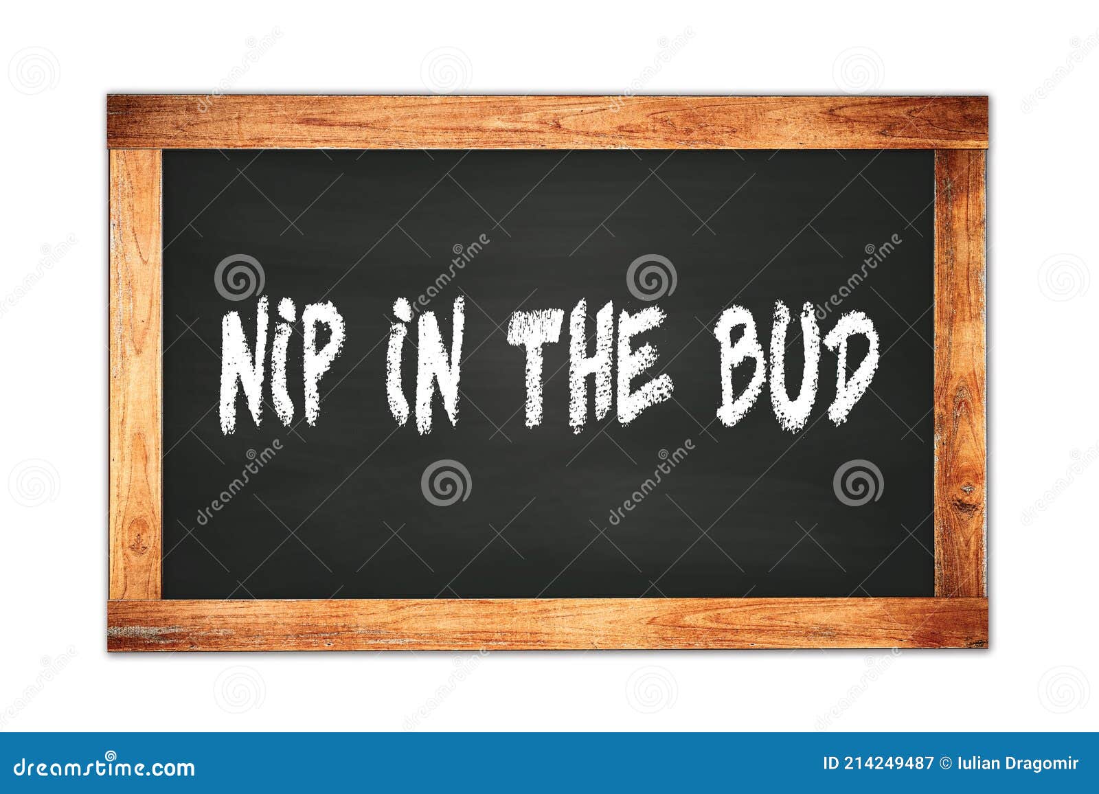 NIP in the BUD Text Written on Wooden Frame School Blackboard Stock ...