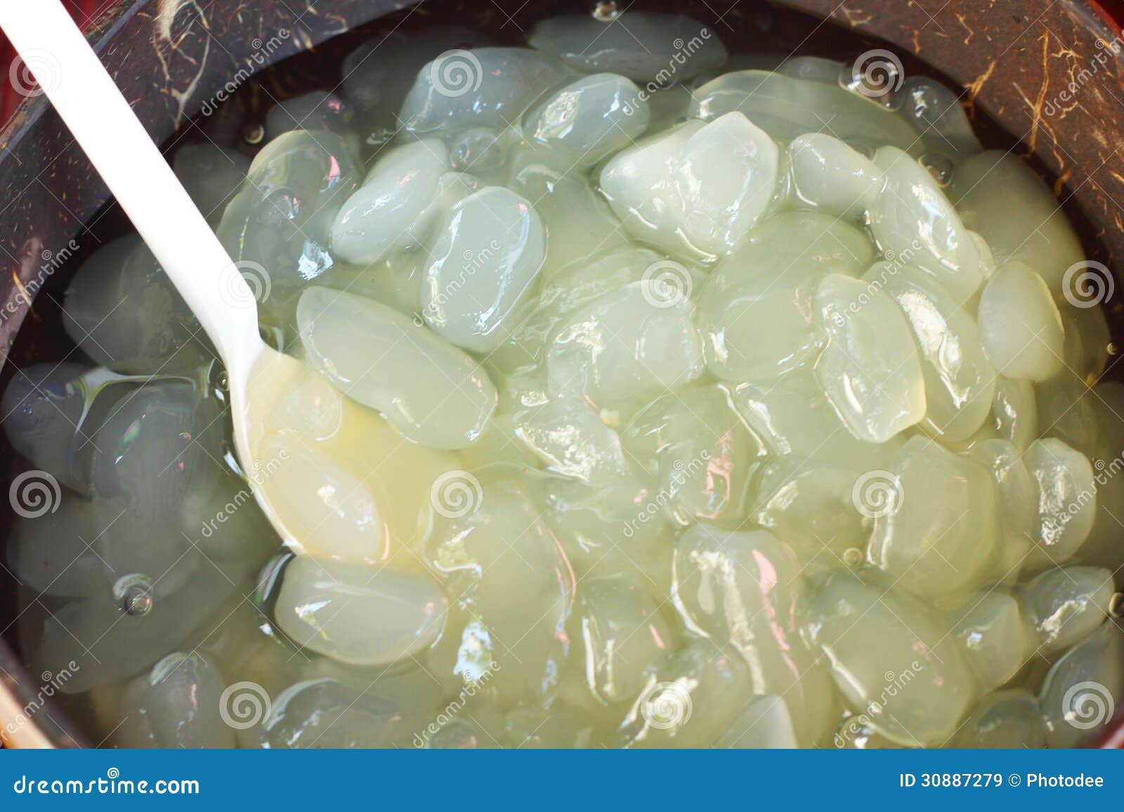 Nipa Palm Royalty-Free Stock Image | CartoonDealer.com #98280838