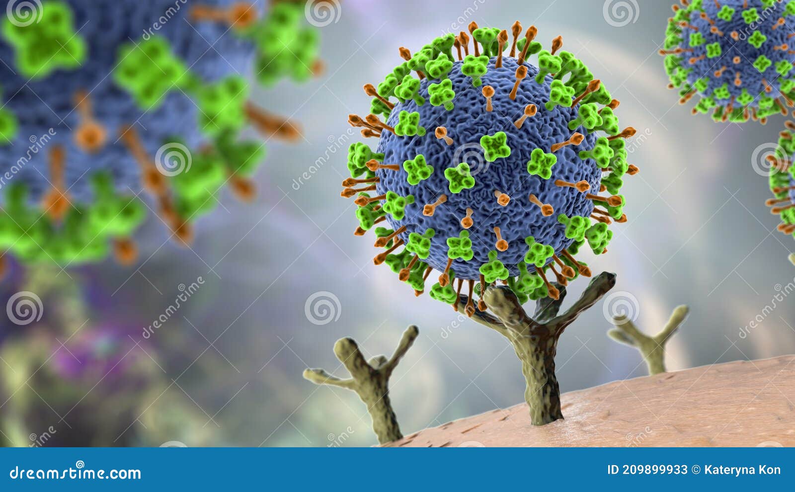 Nipah Virus Attaching Receptors On Human Cells, A Newly Emerging Bat ... Nipah Virus Attaching Receptors On Human Cells, A Newly Emerging Bat ...