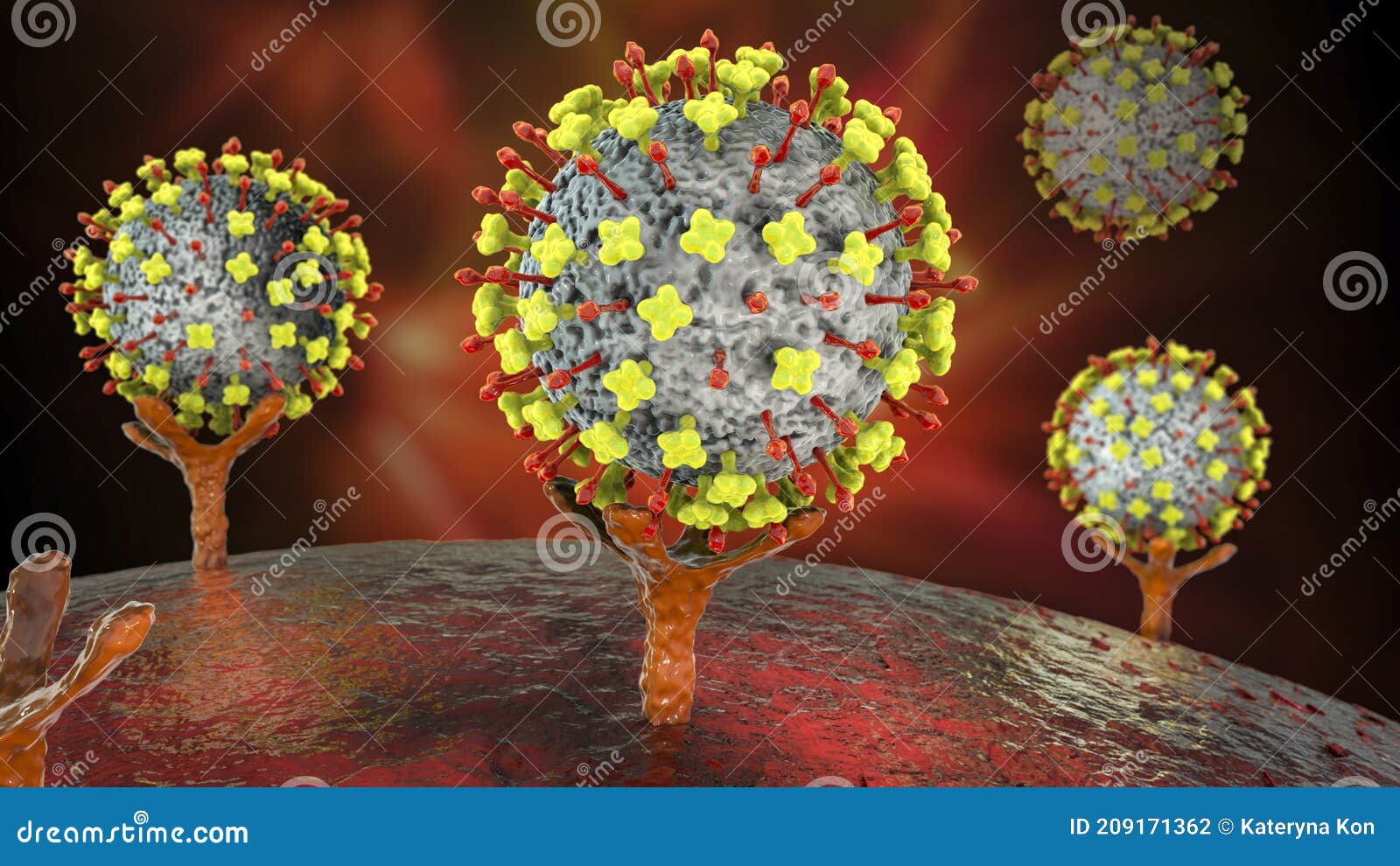 Nipah Virus Attaching Receptors On Human Cells, A Newly Emerging Bat ... Nipah Virus Attaching Receptors On Human Cells, A Newly Emerging Bat ...