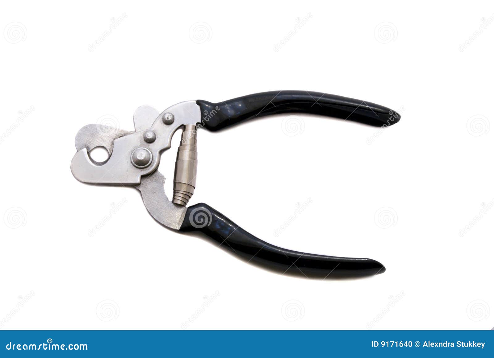 Nippers stock photo. Image of animal, metal, shear, clip - 9171640