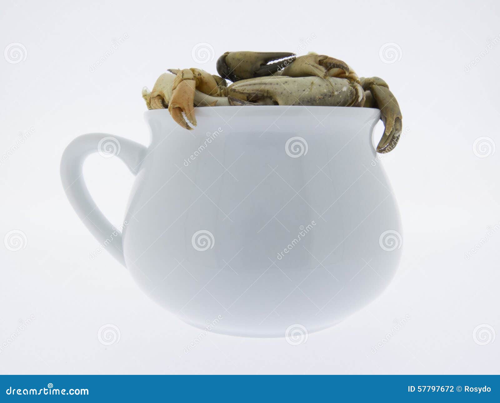 Nippers Of Crabs, Seafood, Stock Photography | CartoonDealer.com #57797594