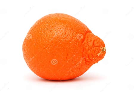 A nipple orange stock photo. Image of juicy, single, white - 13273408