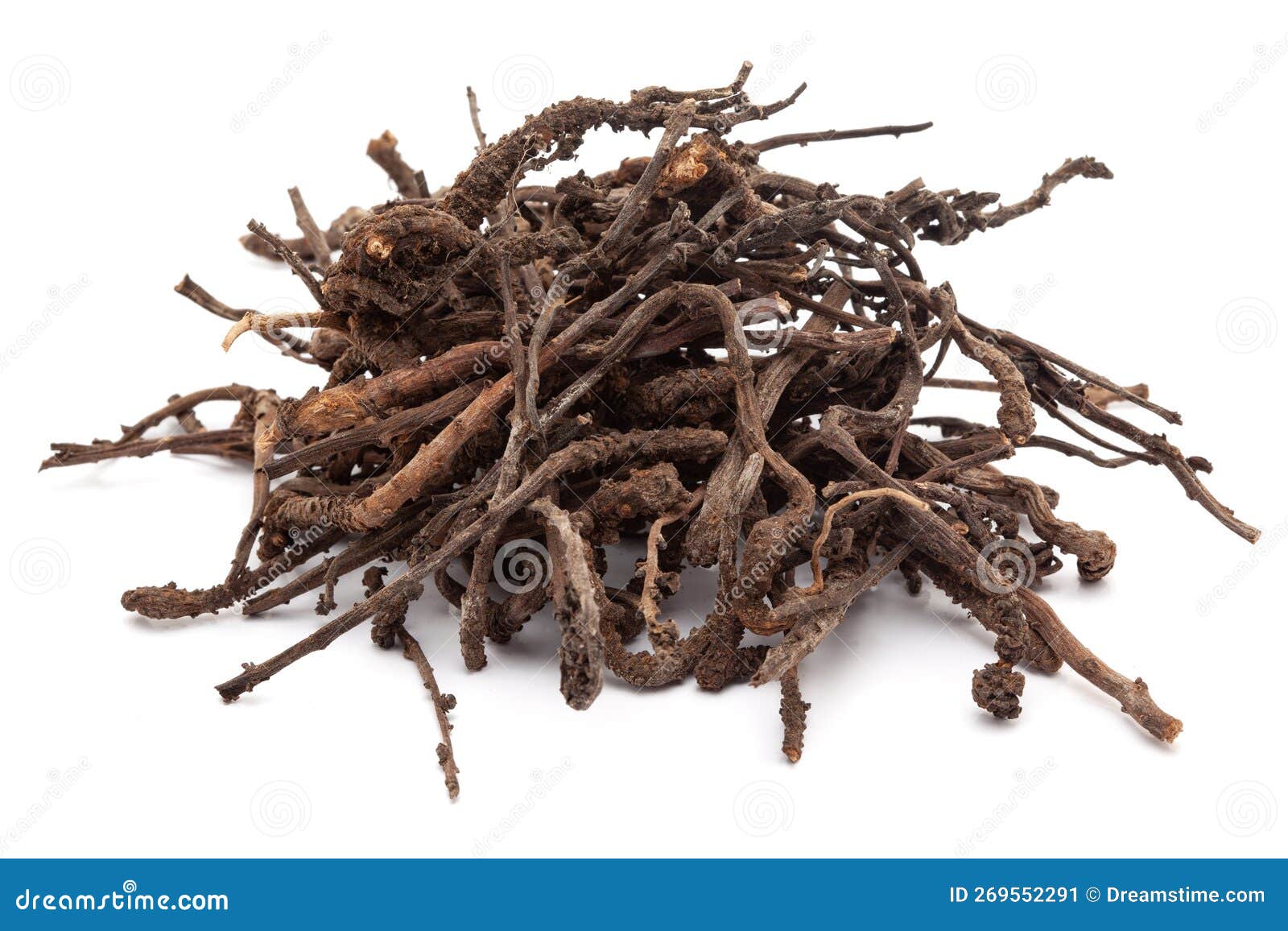 Closeup of Dry Nirgundi Roots, Isolated on White Background. Stock ...