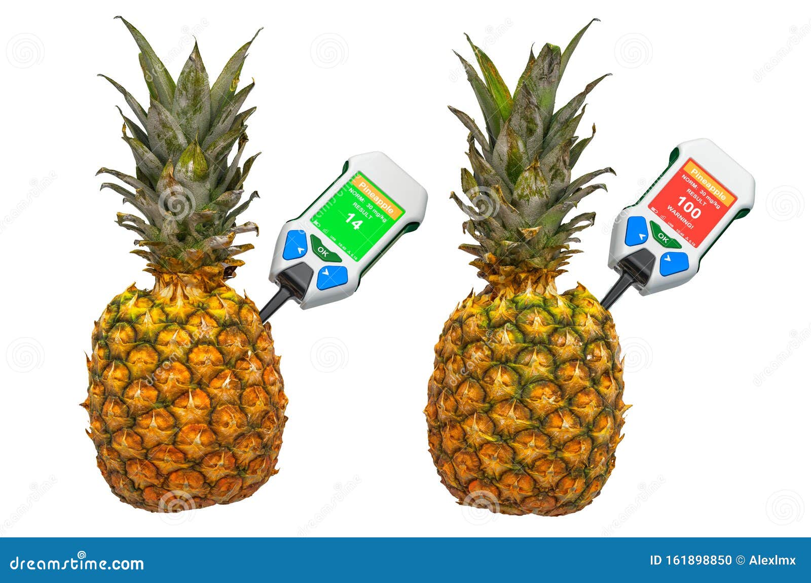 Nitrate Testers with Pineapples. Measurement of Nitrate Levels in ...