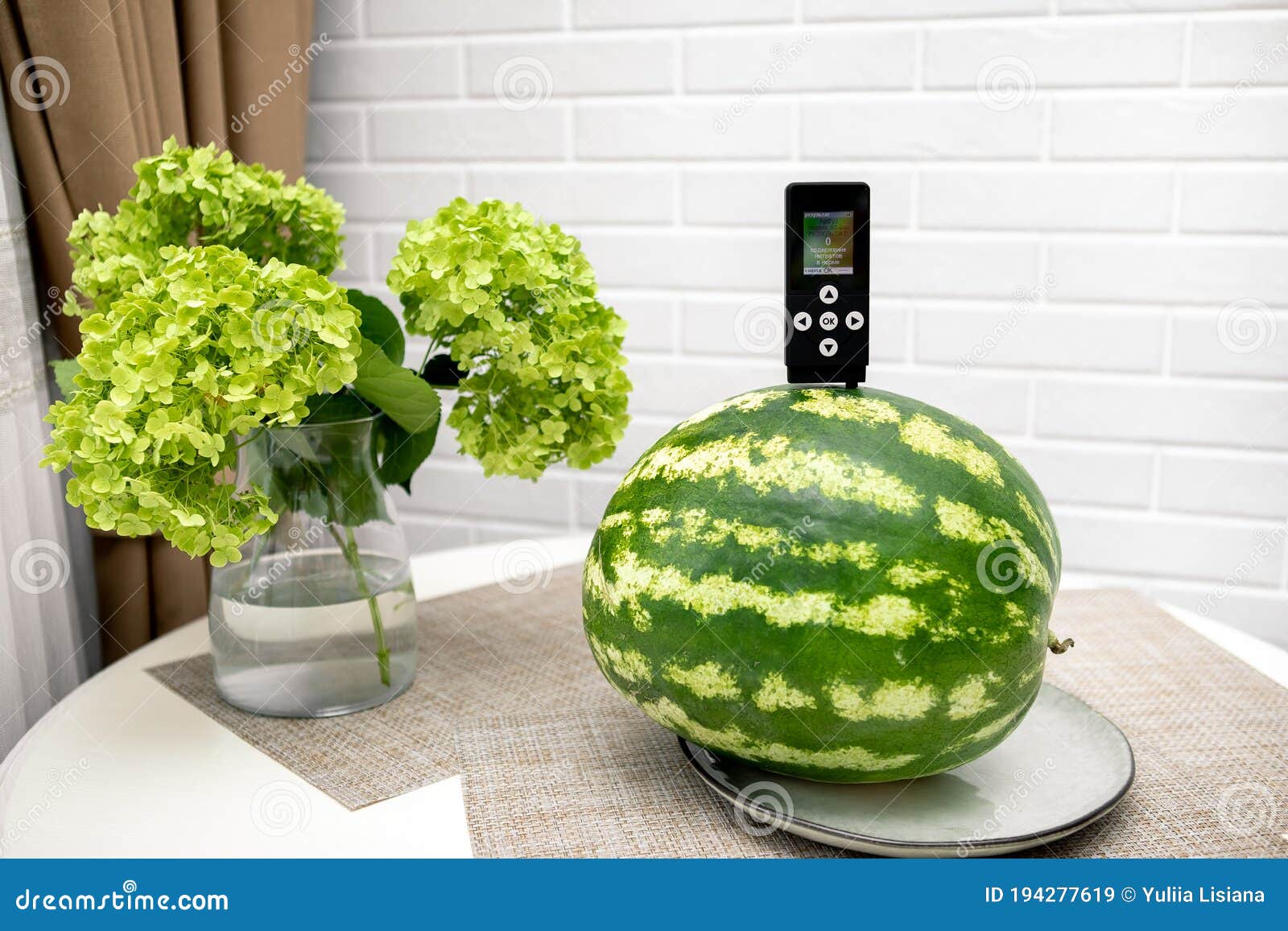 Nitrate Testers with Watermelon. Measuring the Concentration of ...
